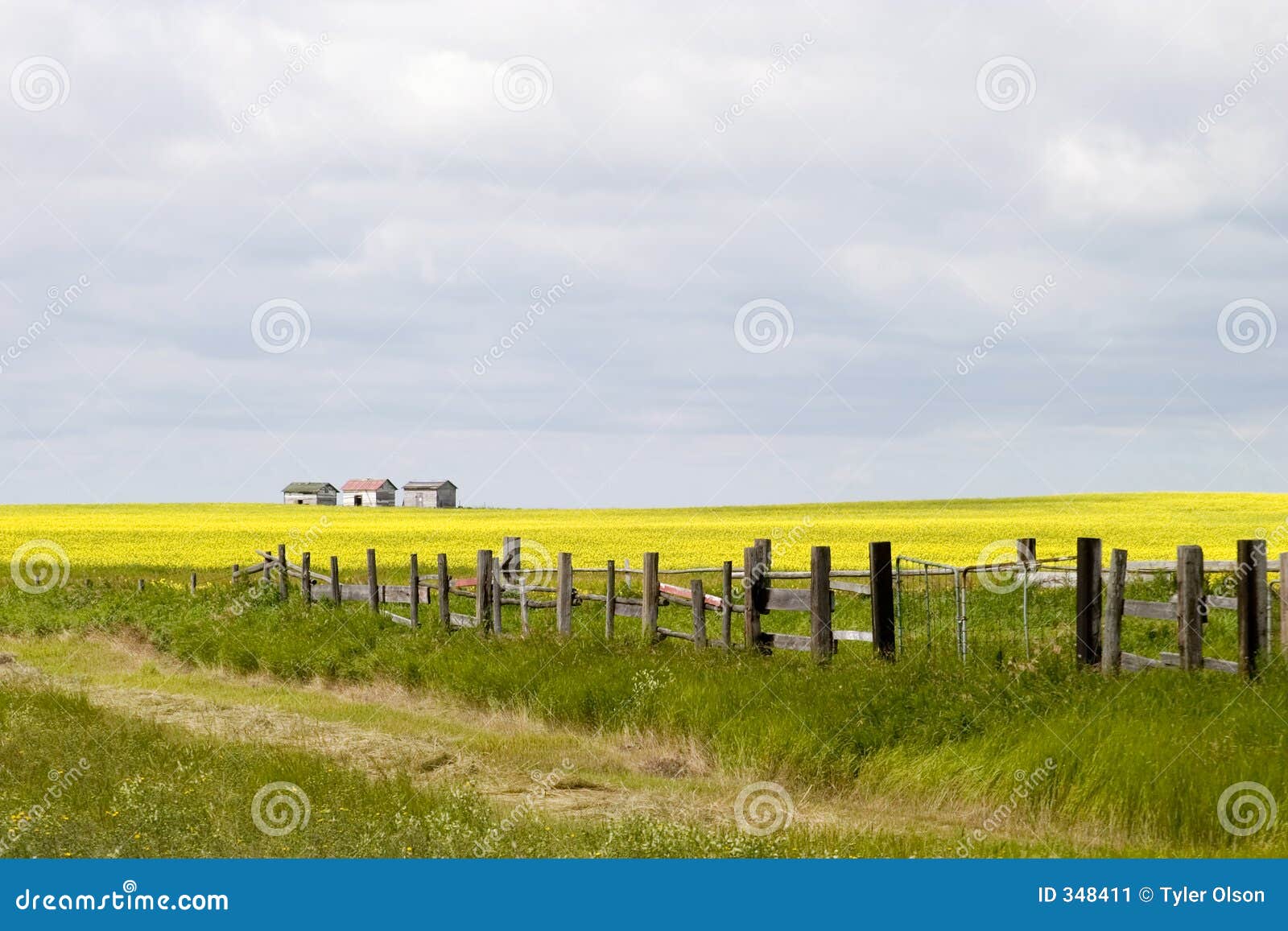 Prairie Landscape - Fence Line Stock Image - Image of fence, open: 348411