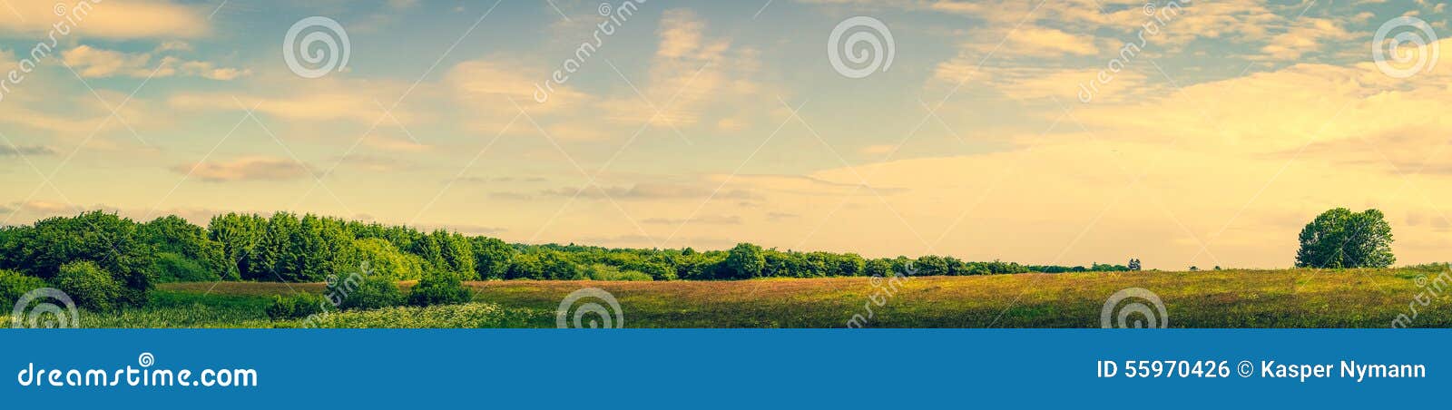 Prairie Landscape with Green Trees Stock Photo - Image of countryside ...