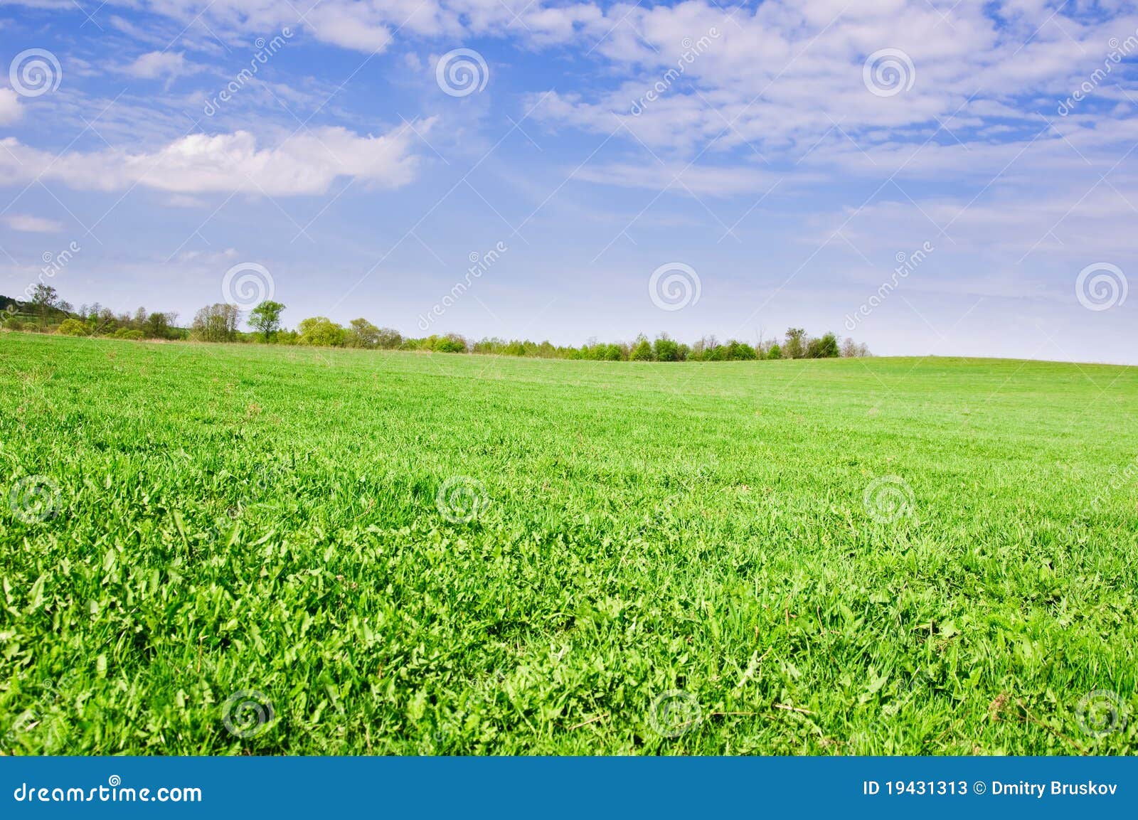 Prairie landscape and sky stock image. Image of grass - 19431313