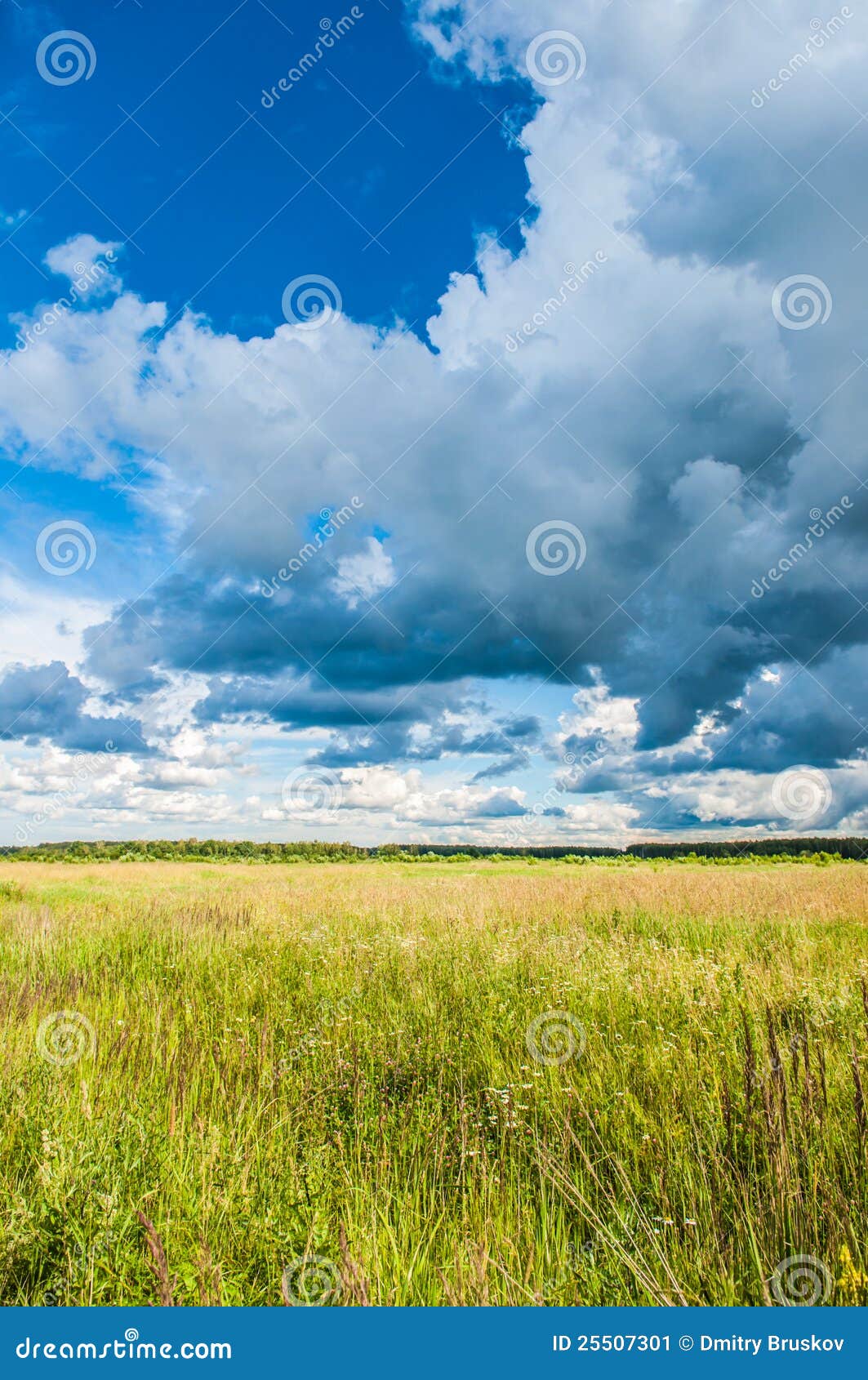 Prairie landscape and sky stock image. Image of freshness - 25507301