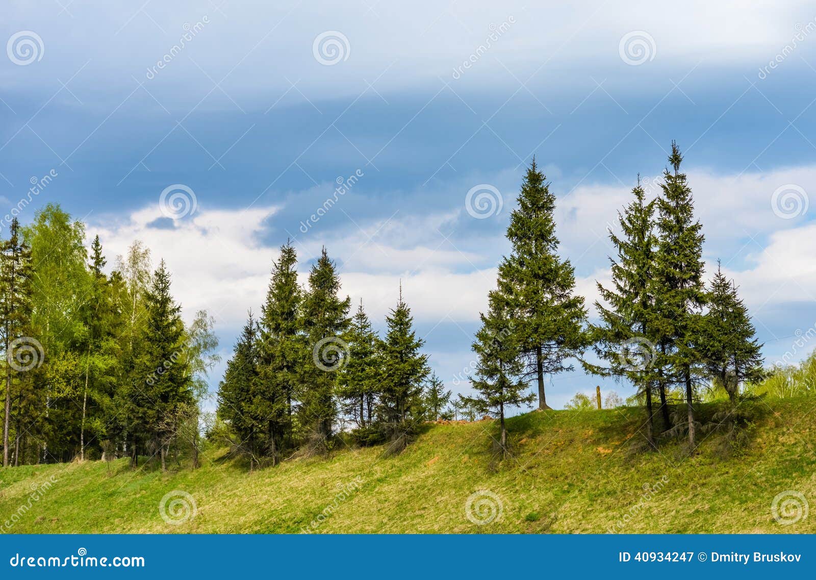 Prairie landscape and sky stock image. Image of fresh - 40934247