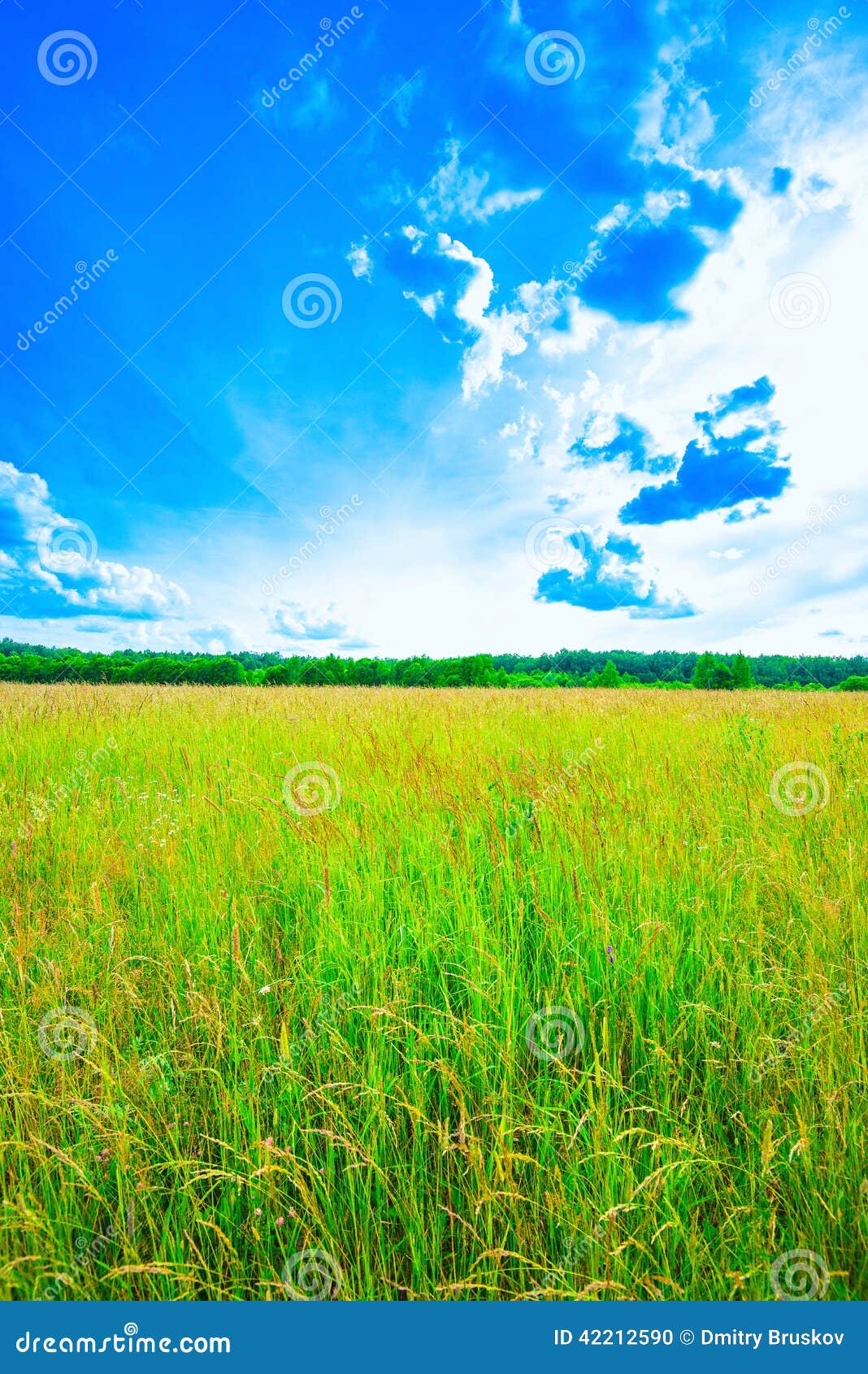 Prairie landscape and sky stock photo. Image of field - 42212590