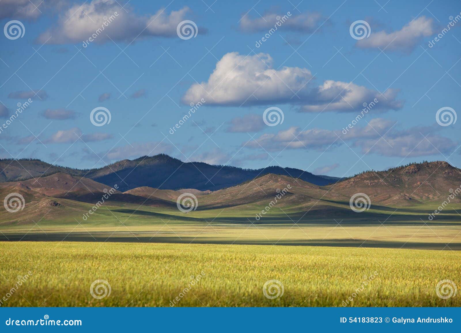 Prairie stock image. Image of beautiful, environment - 54183823