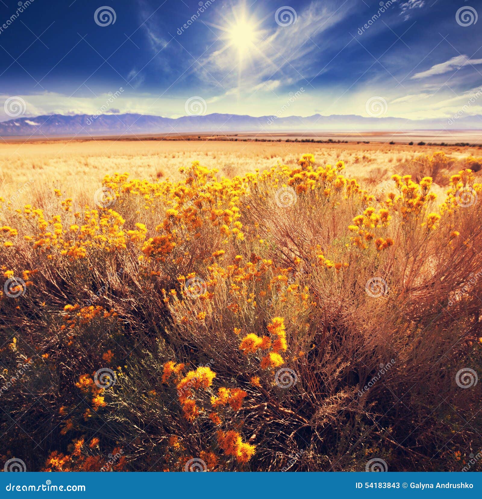 Prairie stock image. Image of landscape, hills, wilderness - 54183843