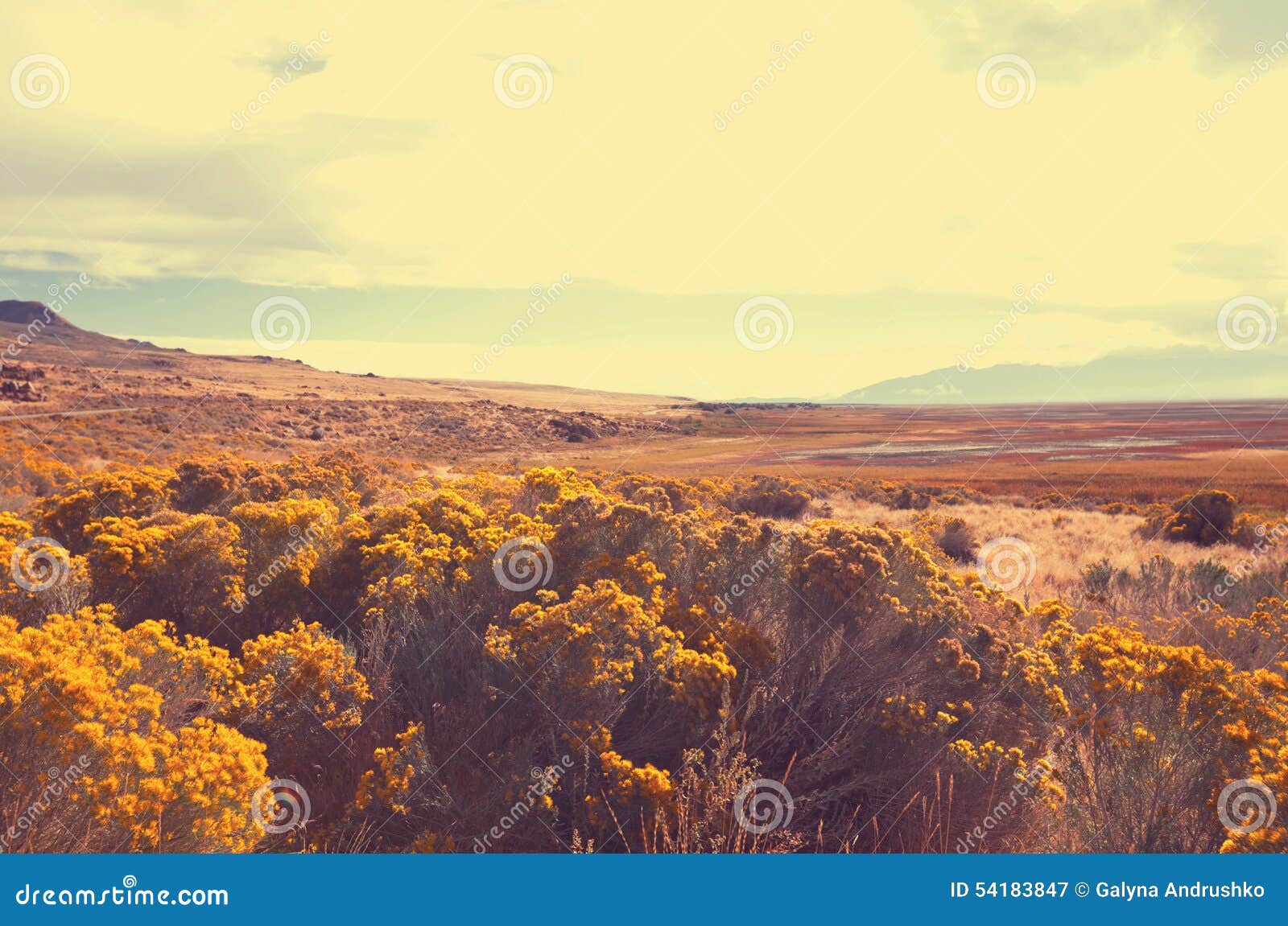 Prairie stock image. Image of country, american, hills - 54183847