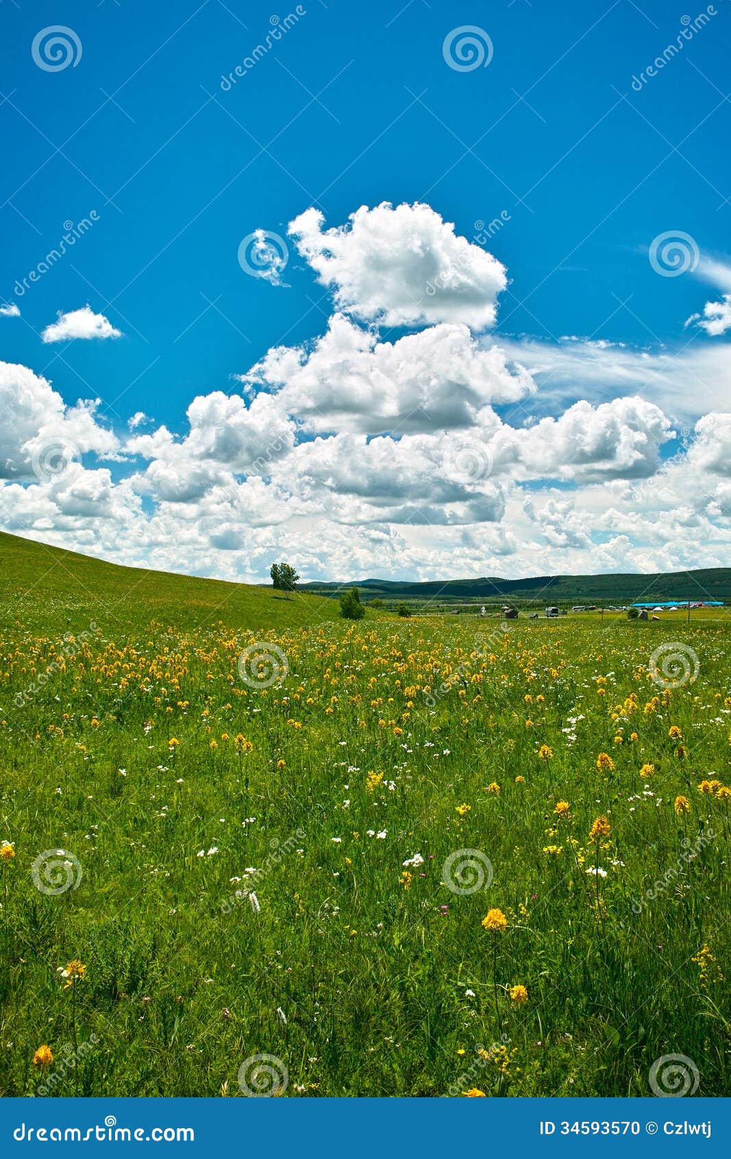 Prairie stock photo. Image of beautiful, biome, prairie - 34593570
