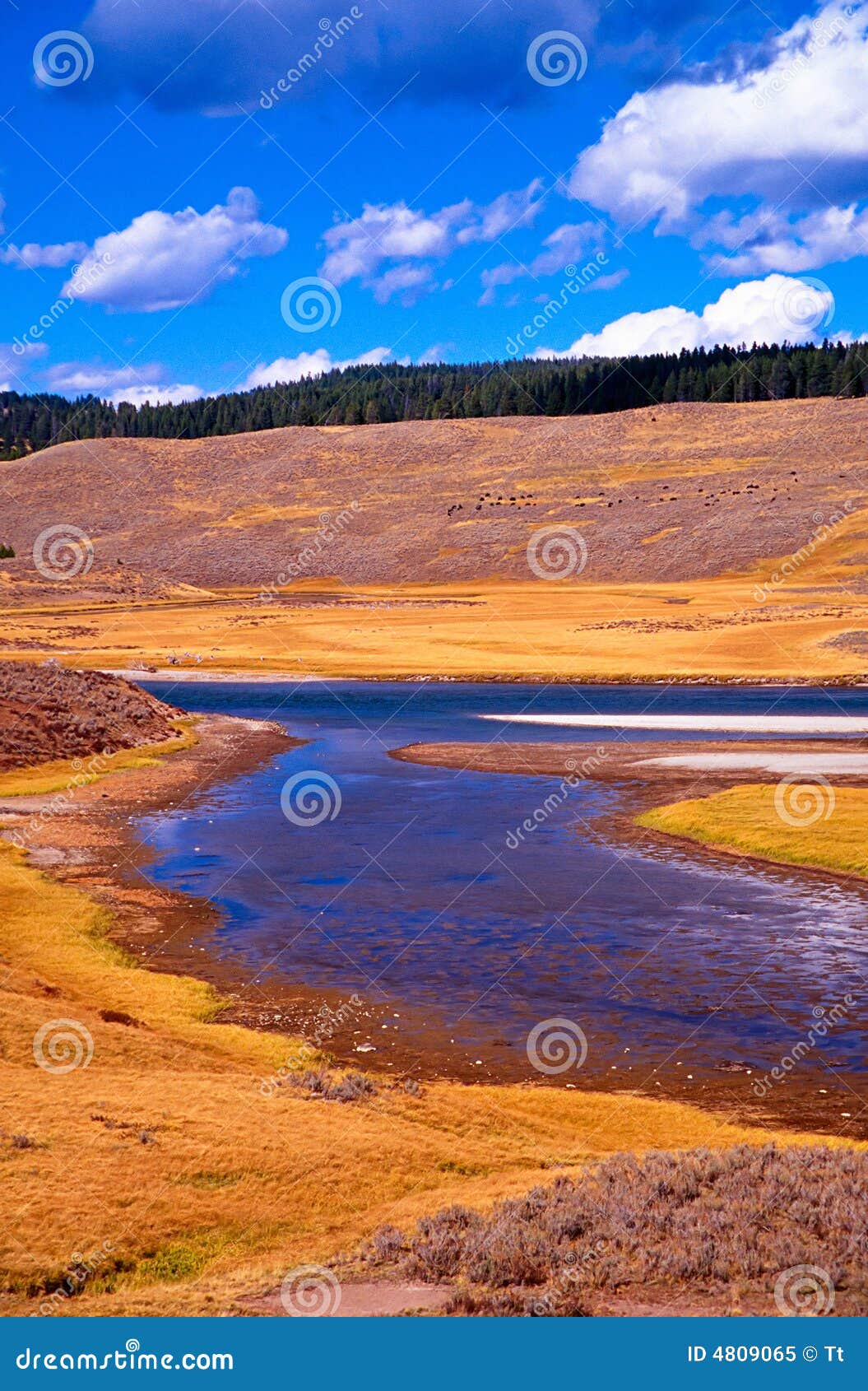 Prairie river stock image. Image of countryside, deserted - 4809065