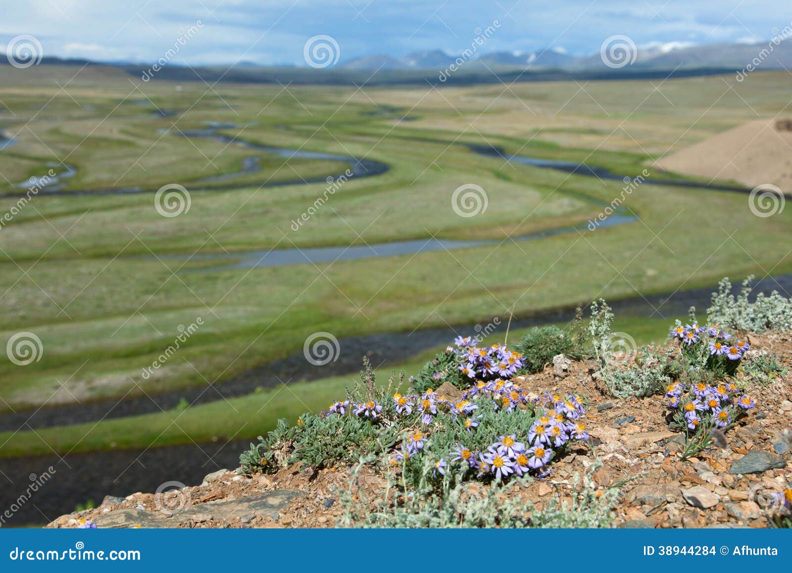 Prairie river stock photo. Image of mongolia, lawn, foliage - 38944284