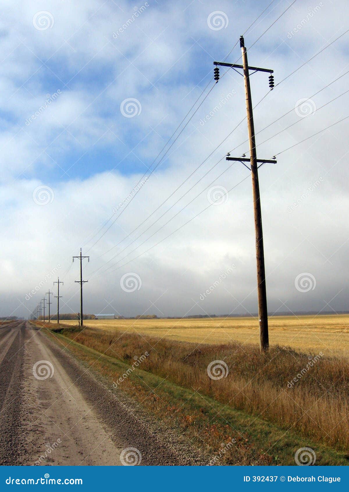 Prairie Road stock image. Image of farm, telephone, driven - 392437