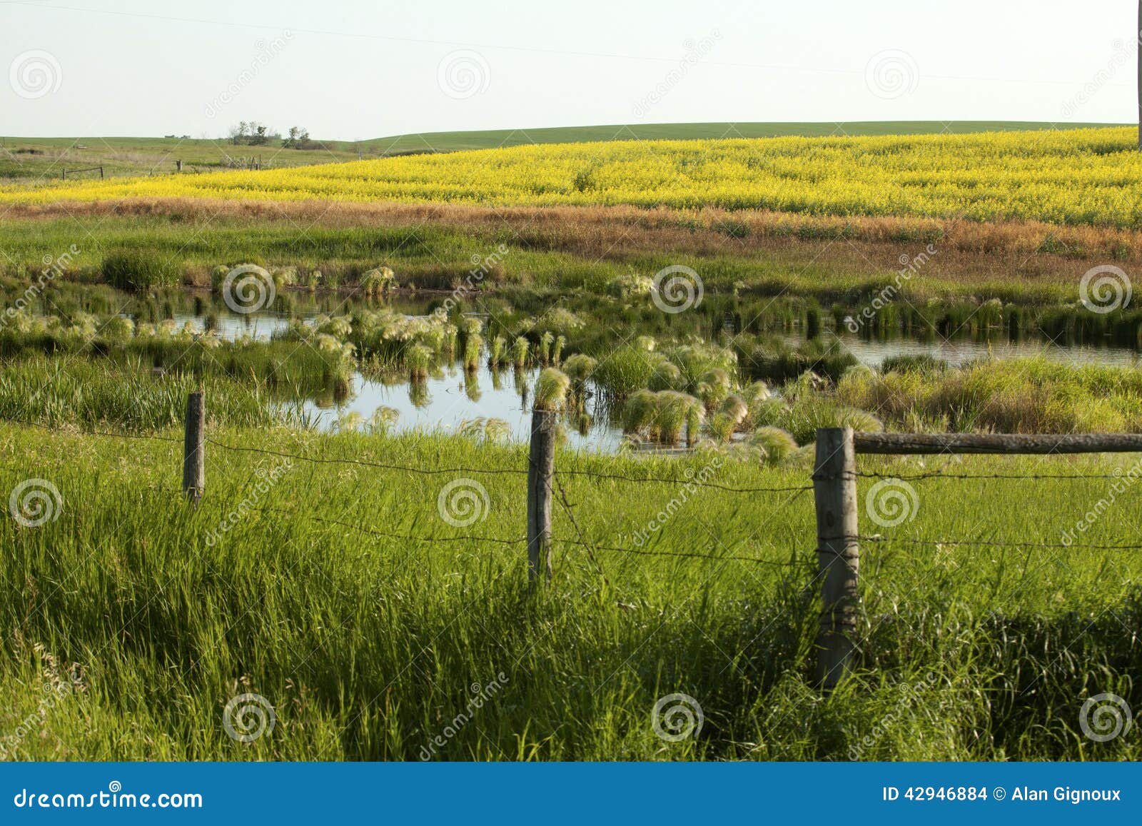 The Prairie, Saskathewan, Canada Stock Photo - Image of road, fields ...