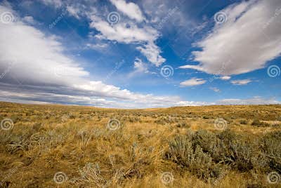 Prairie Sky stock photo. Image of states, empty, grass - 4872830