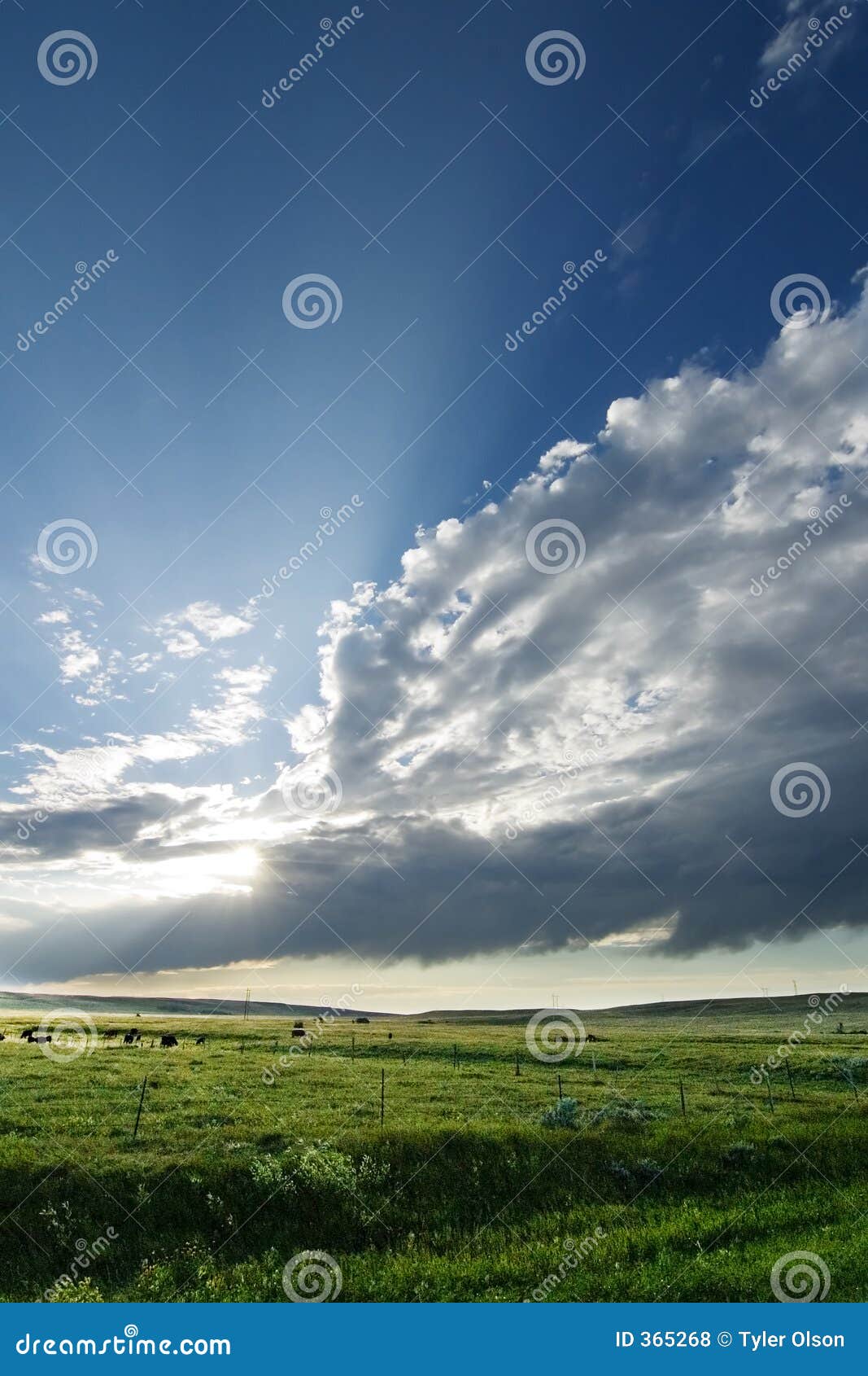 Prairie Sky Landscape stock photo. Image of landscape, grow - 365268
