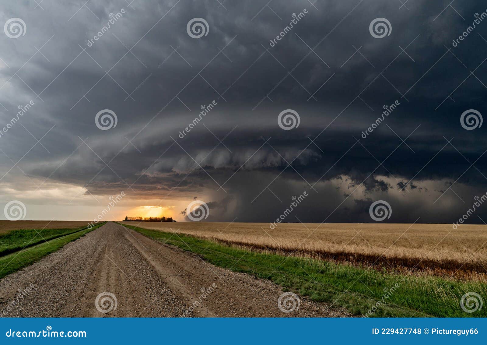 Prairie Storm Canada stock photo. Image of prairie, path - 229427748