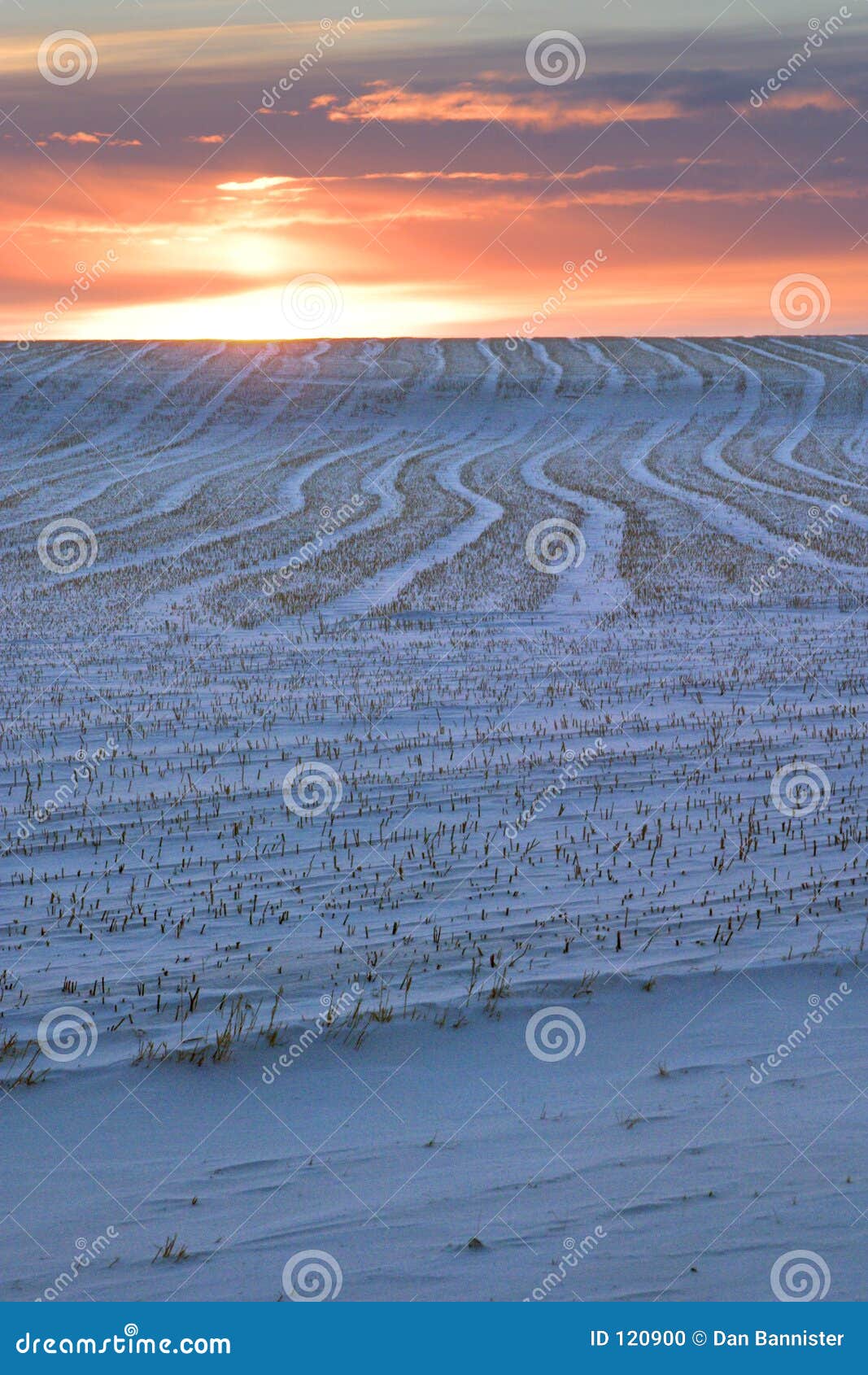 Prairie Sunrise stock photo. Image of morning, sunrise - 120900
