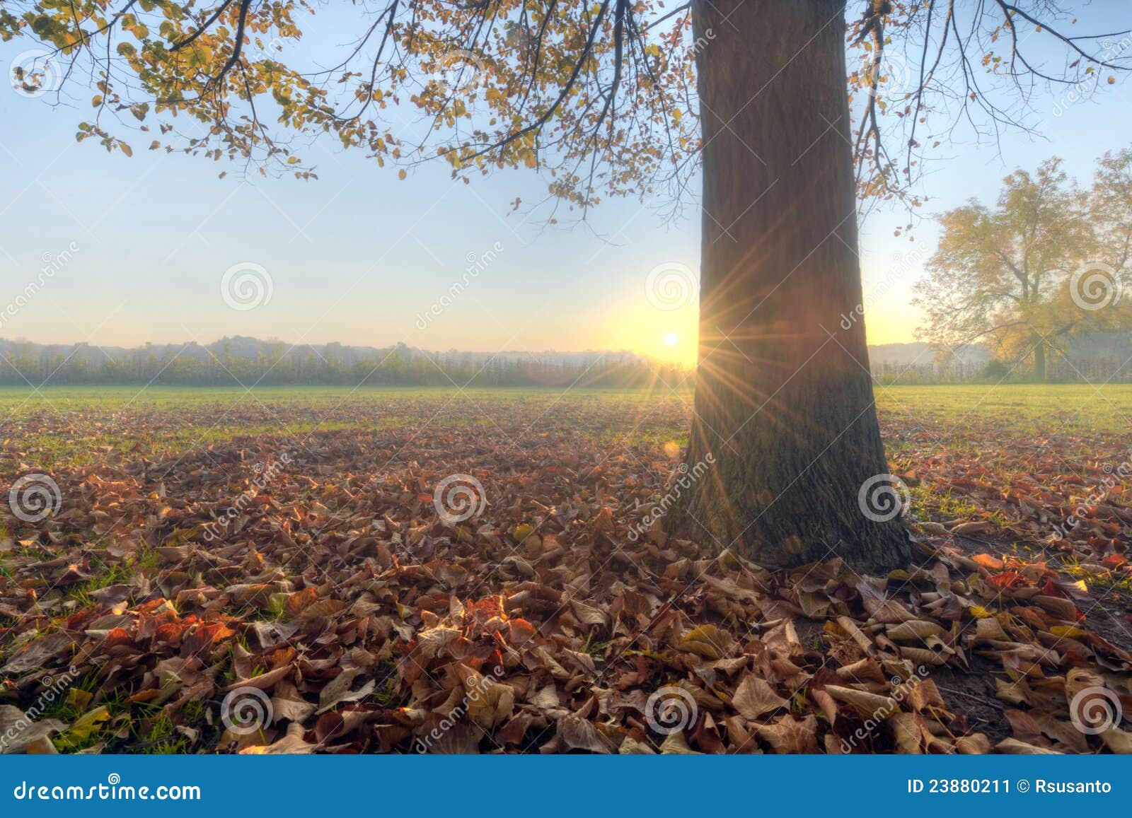 Prairie sunrise stock image. Image of spring, forest - 23880211