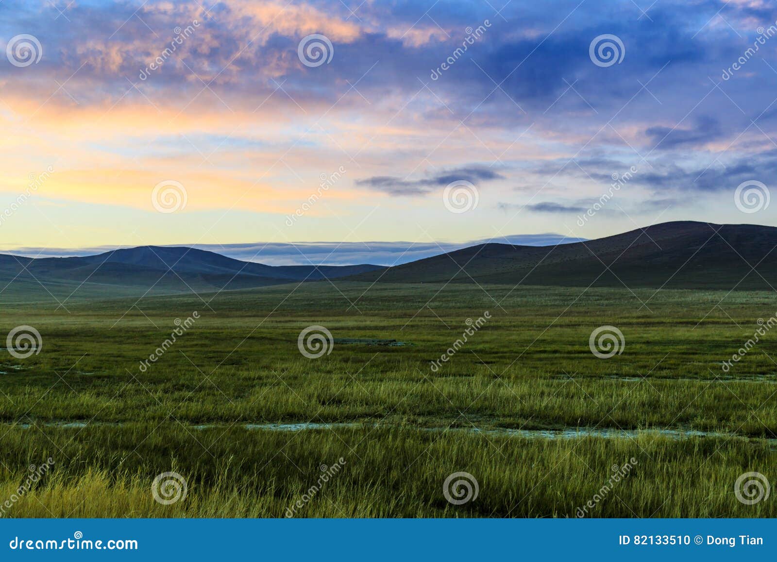 Prairie sunrise stock photo. Image of early, forests - 82133510