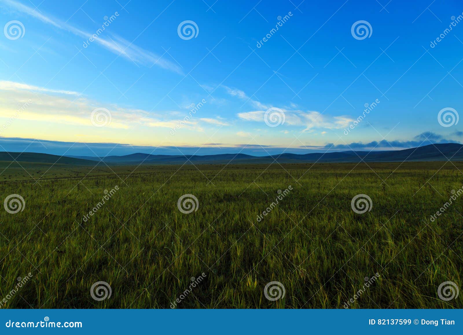 Prairie sunrise stock image. Image of natural, stretching - 82137599
