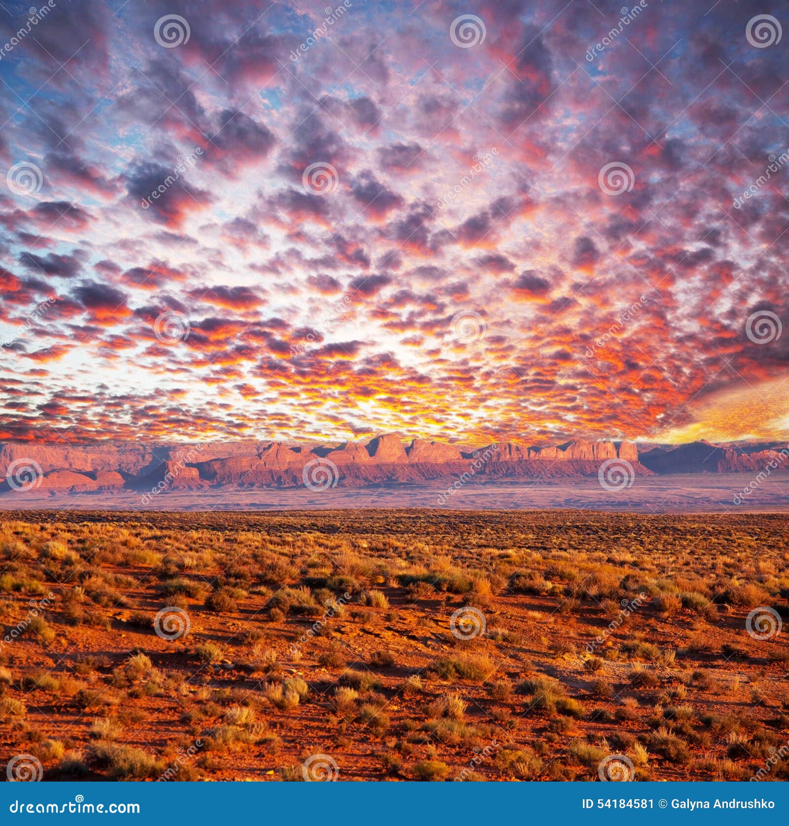 Prairie stock image. Image of beautiful, summer, scenic - 54184581