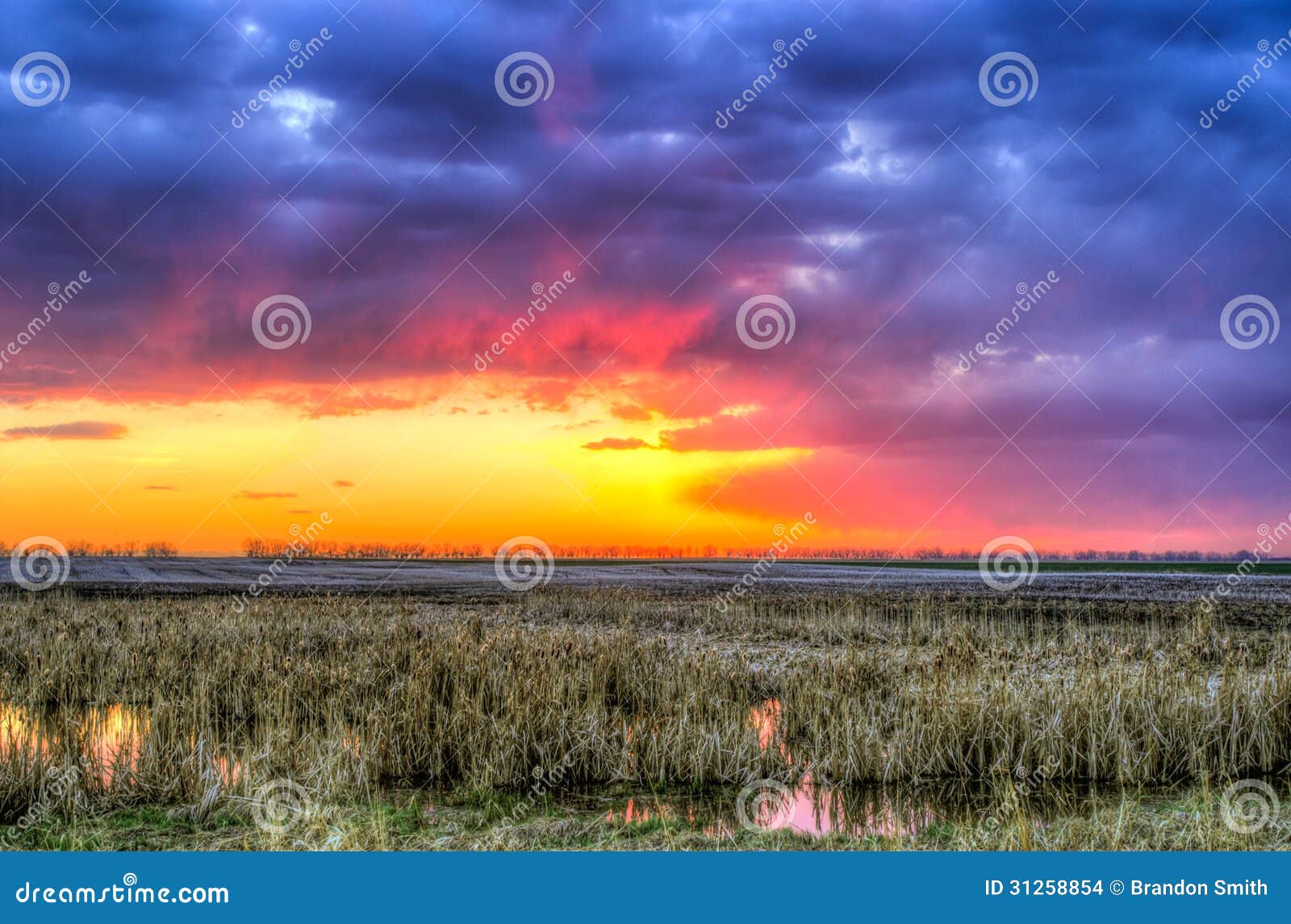Prairie Sunset stock photo. Image of calm, orange, prairie - 31258854