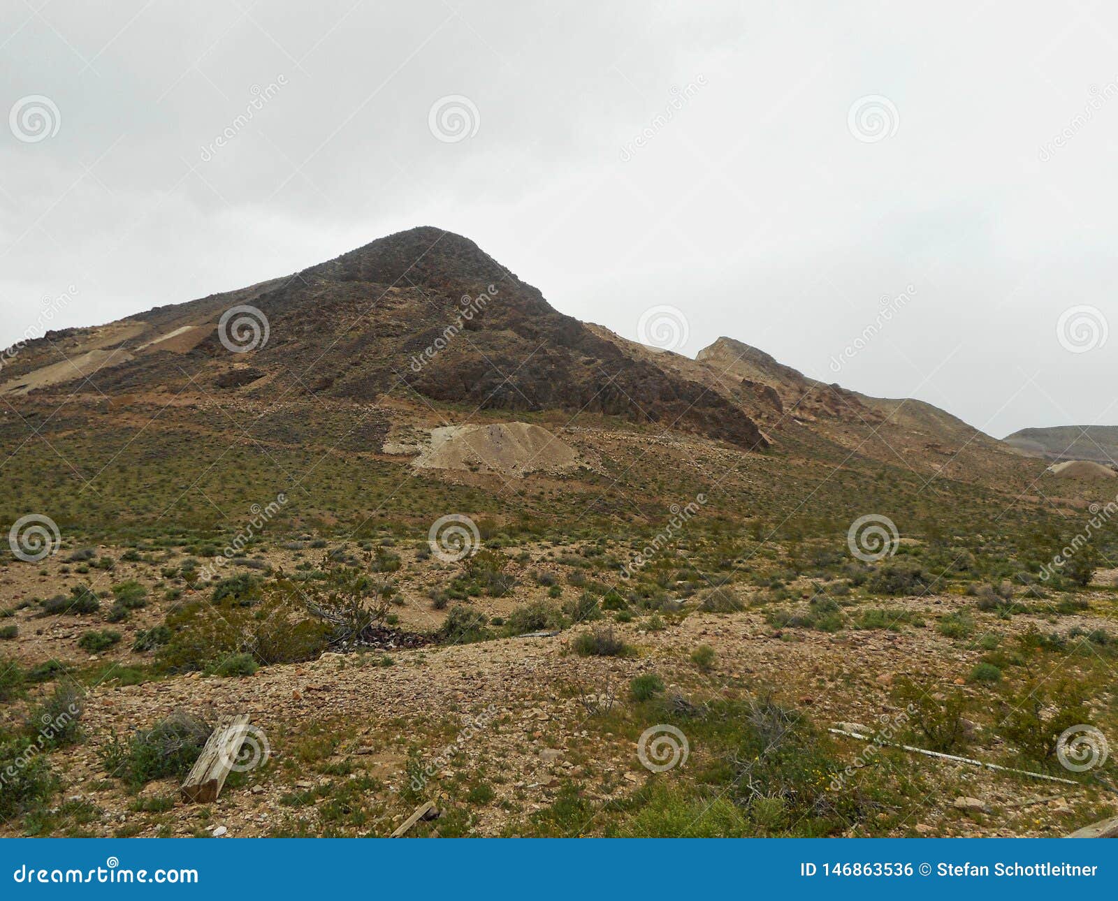 A prairie in texas stock photo. Image of longhorns, antonio - 146863536