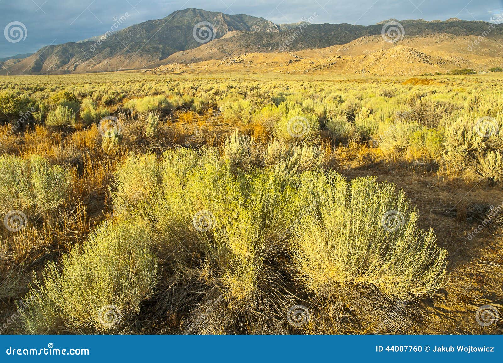Prairie view stock photo. Image of nature, blue, mountain - 44007760