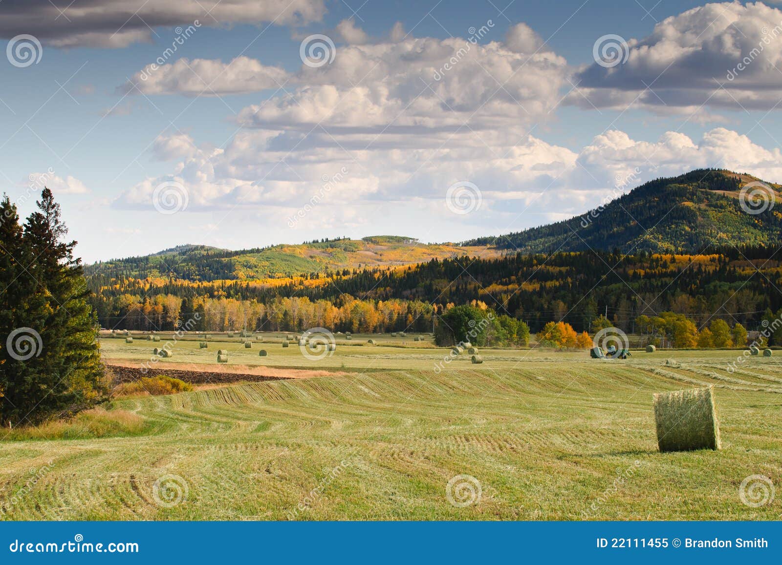 Prairie Views stock image. Image of canada, bale, harvest - 22111455