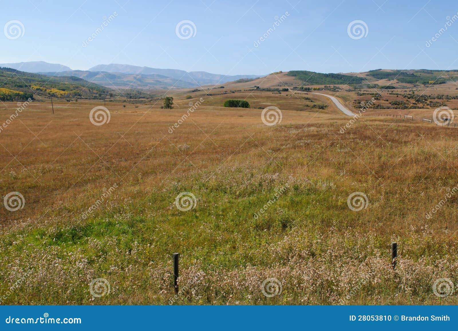 Prairie Views stock photo. Image of harvest, golden, crop - 28053810
