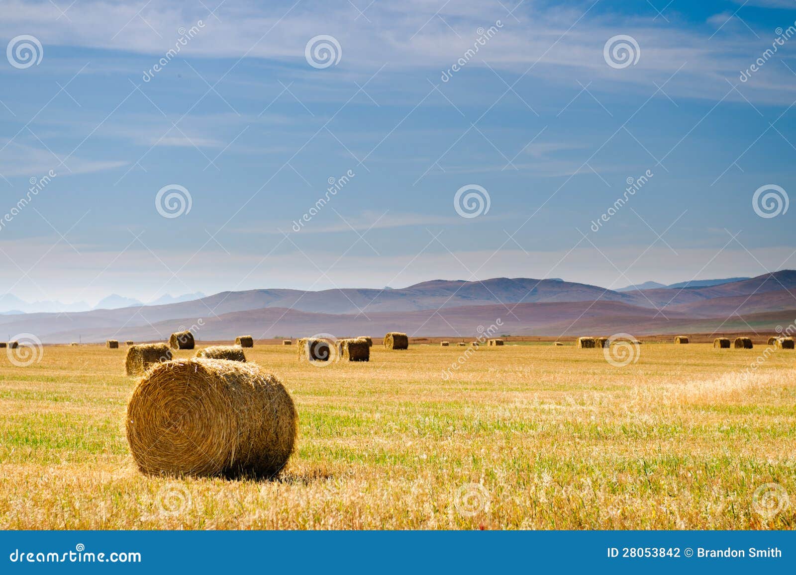 Prairie Views stock photo. Image of country, outside - 28053842