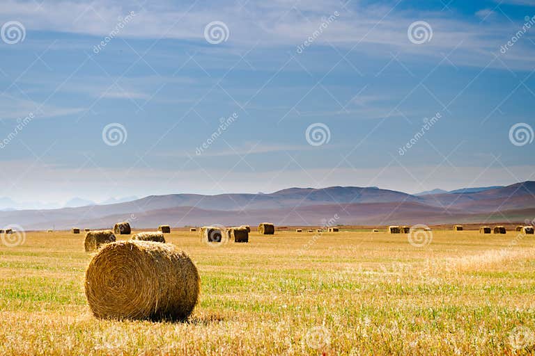 Prairie Views stock photo. Image of country, outside - 28053842