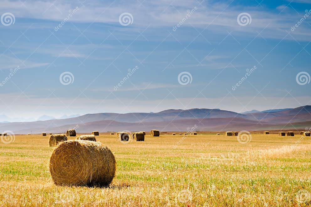 Prairie Views stock photo. Image of country, outside - 28053842