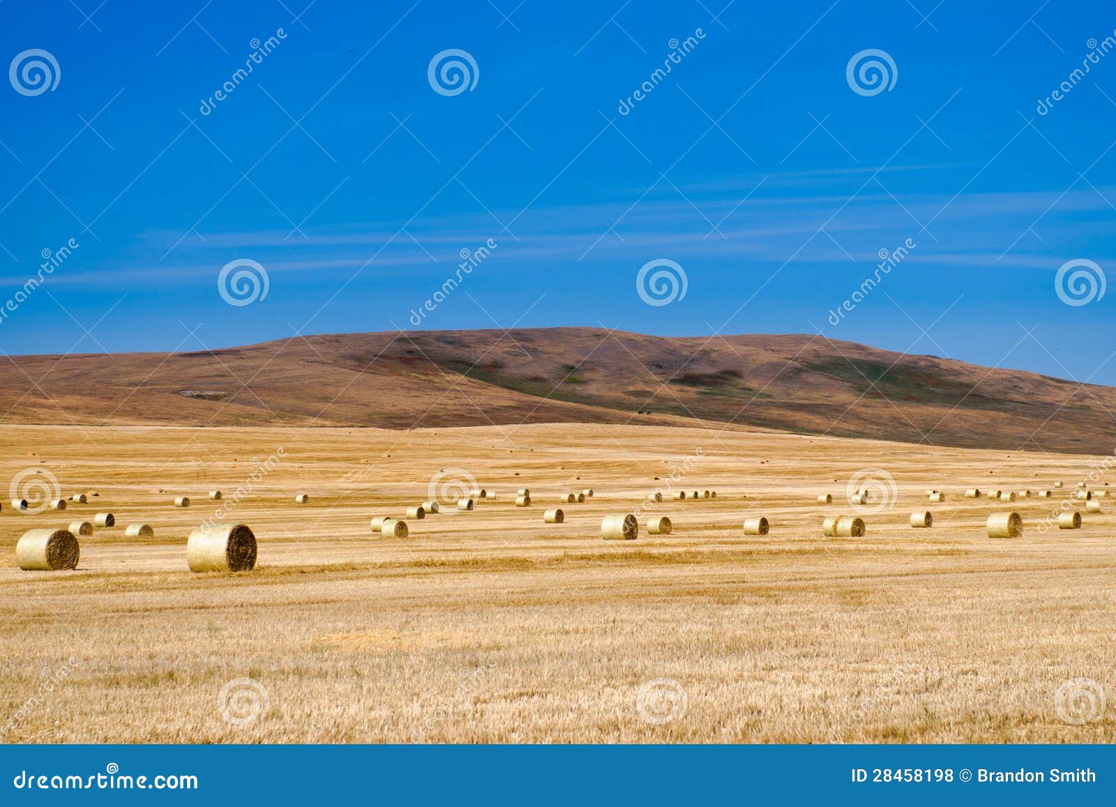 Prairie Views stock photo. Image of cloud, natural, feed - 28458198