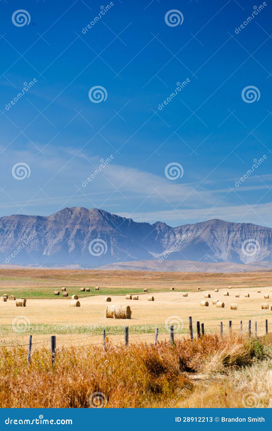 Prairie Views stock image. Image of horizon, cloud, harvest - 28912213