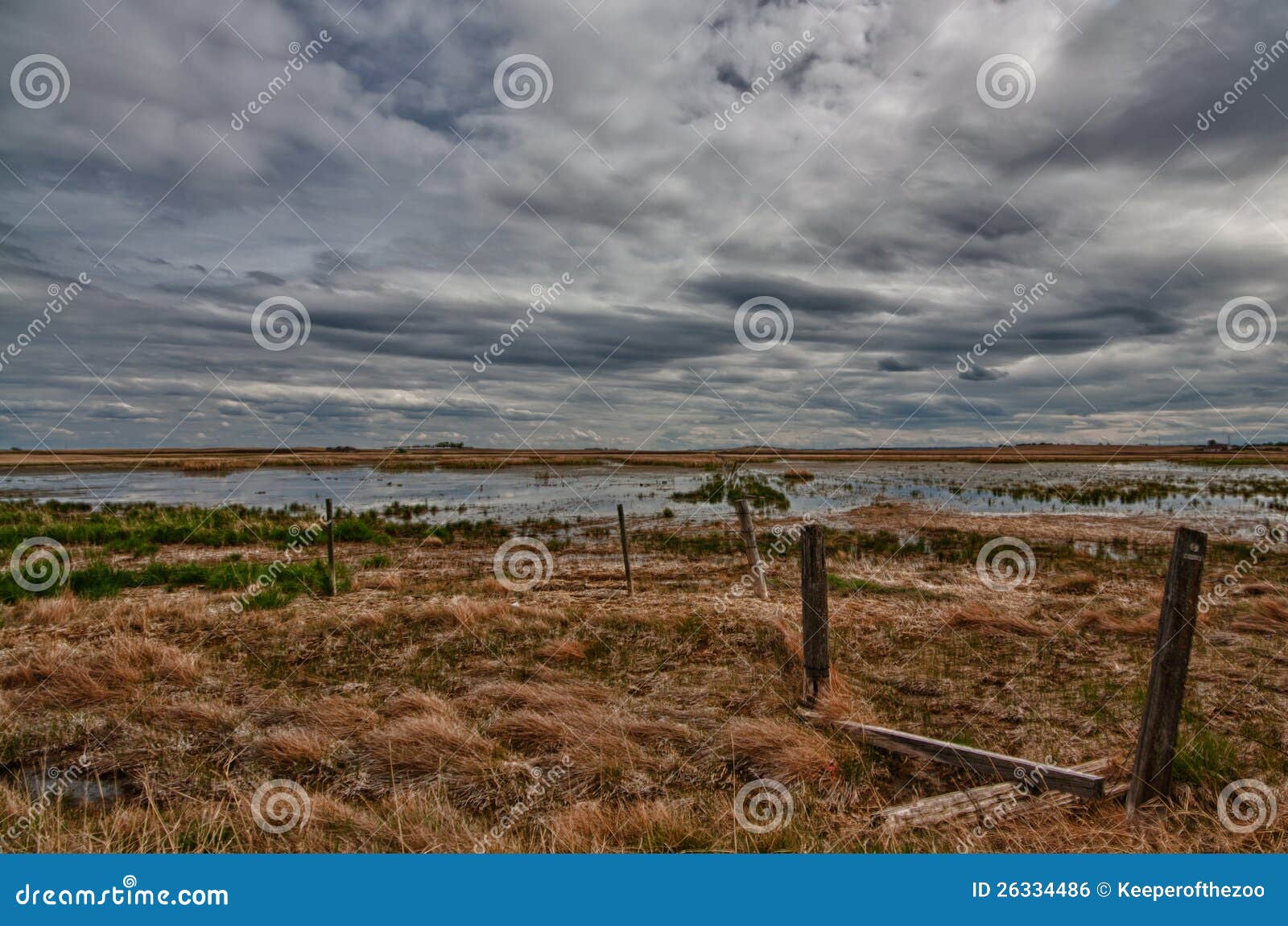 Prairie Wetlands stock photo. Image of outside, habitat - 26334486