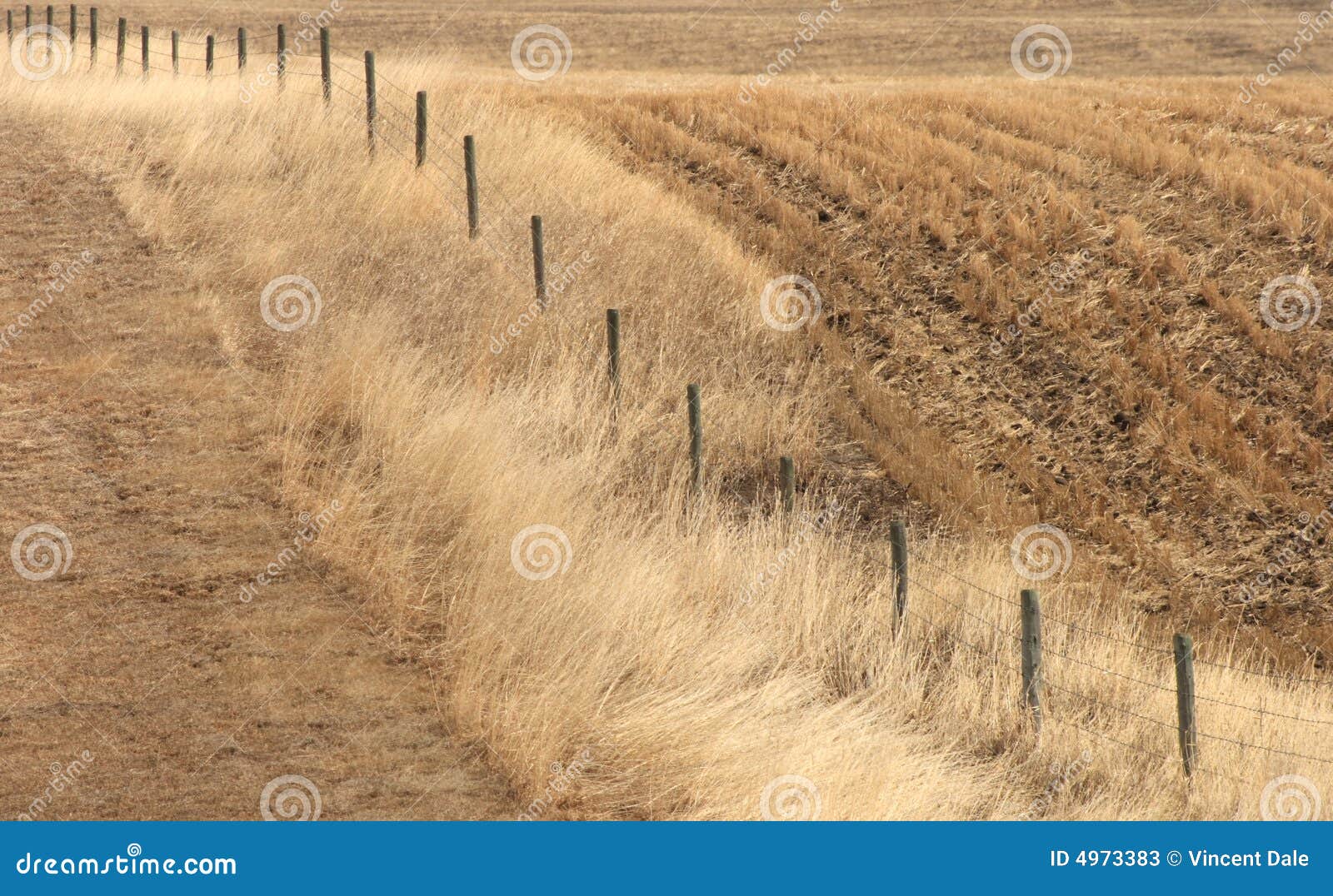 Prairie Wind stock image. Image of outside, field, landscape - 4973383
