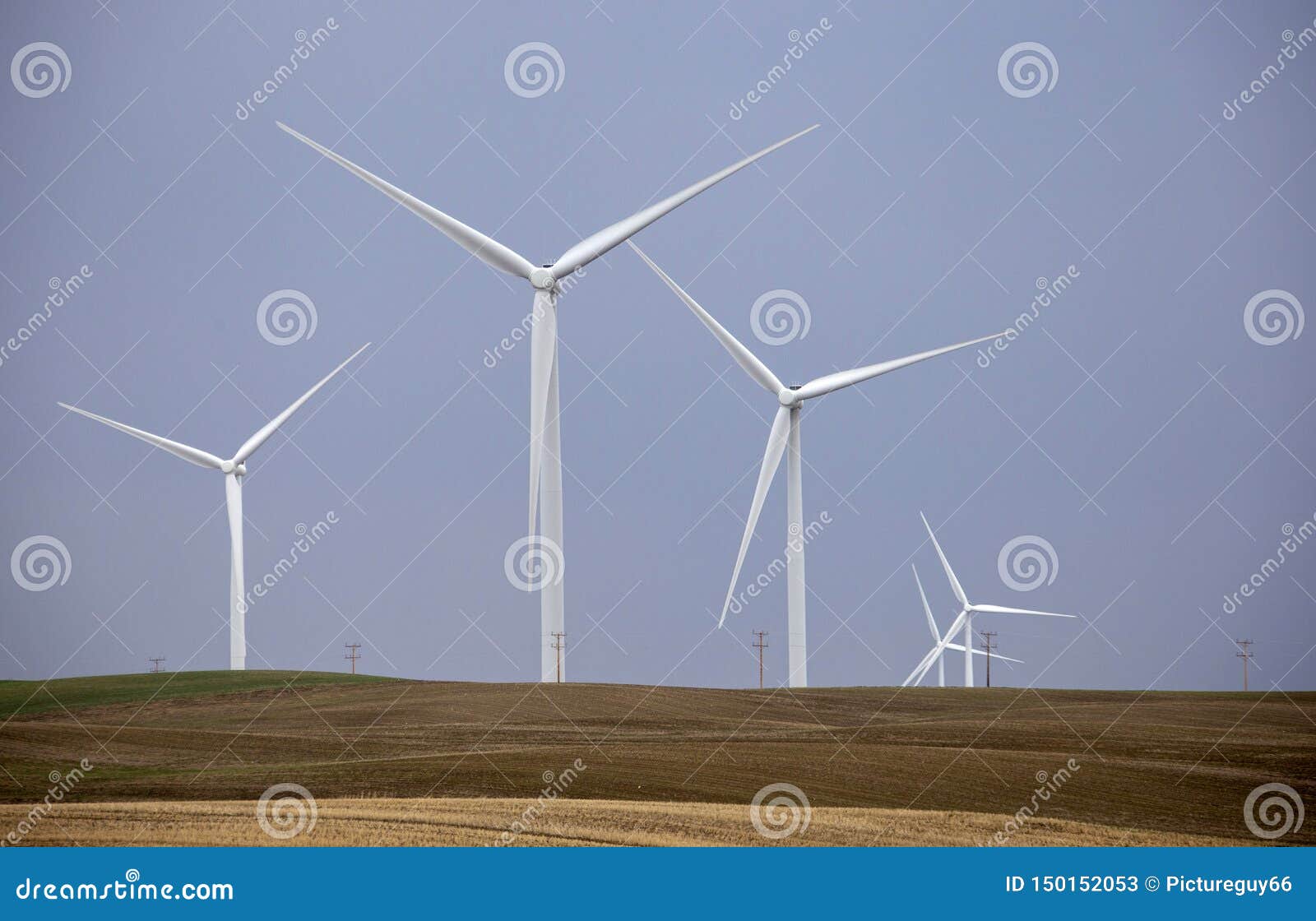 Prairie Wind Farm stock image. Image of field, windturbine - 150152053