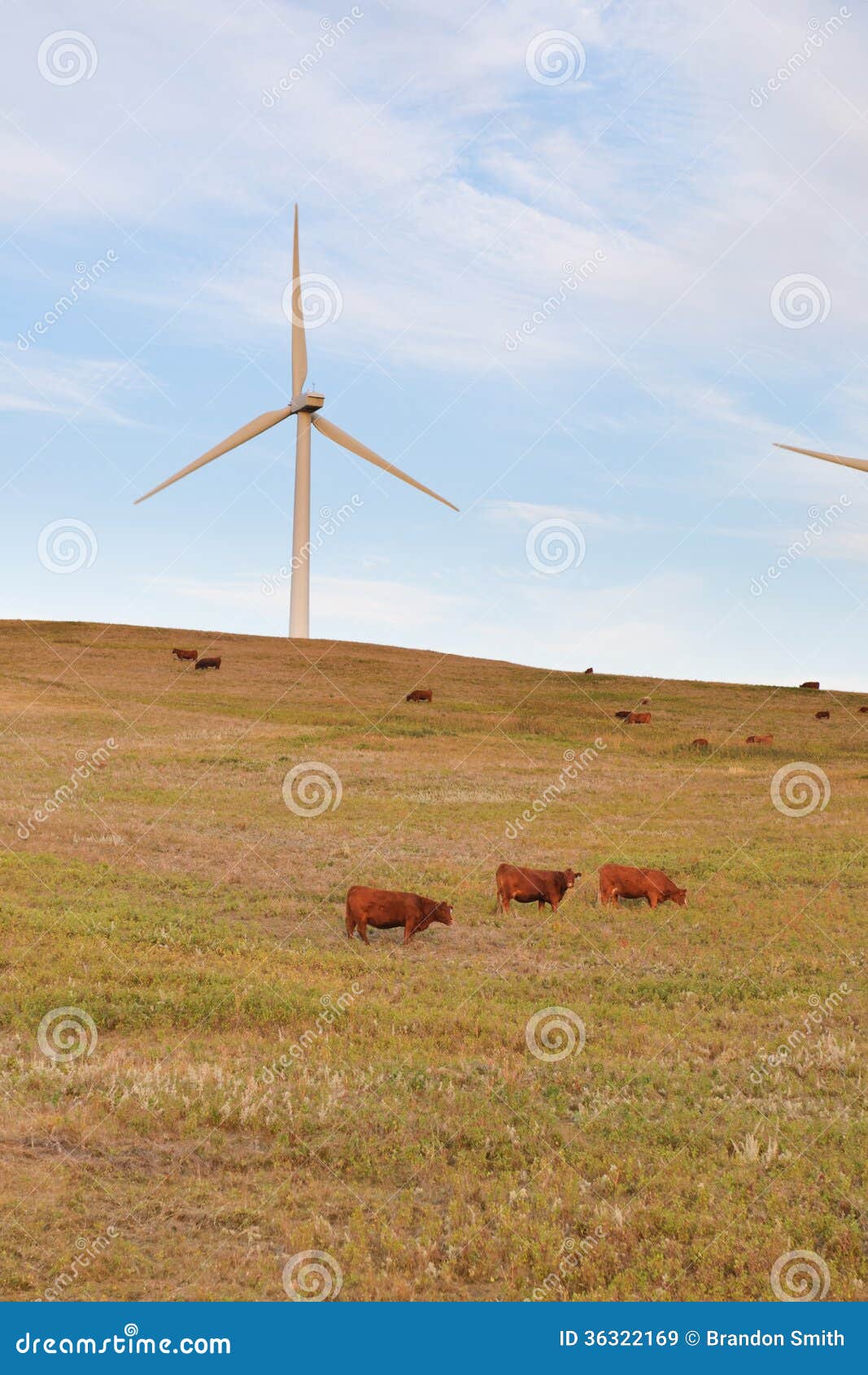 Prairie Windmills stock image. Image of landscape, electric - 36322169
