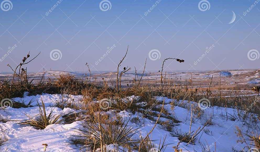 Prairie Winter stock photo. Image of scenic, seasons, moon - 99900