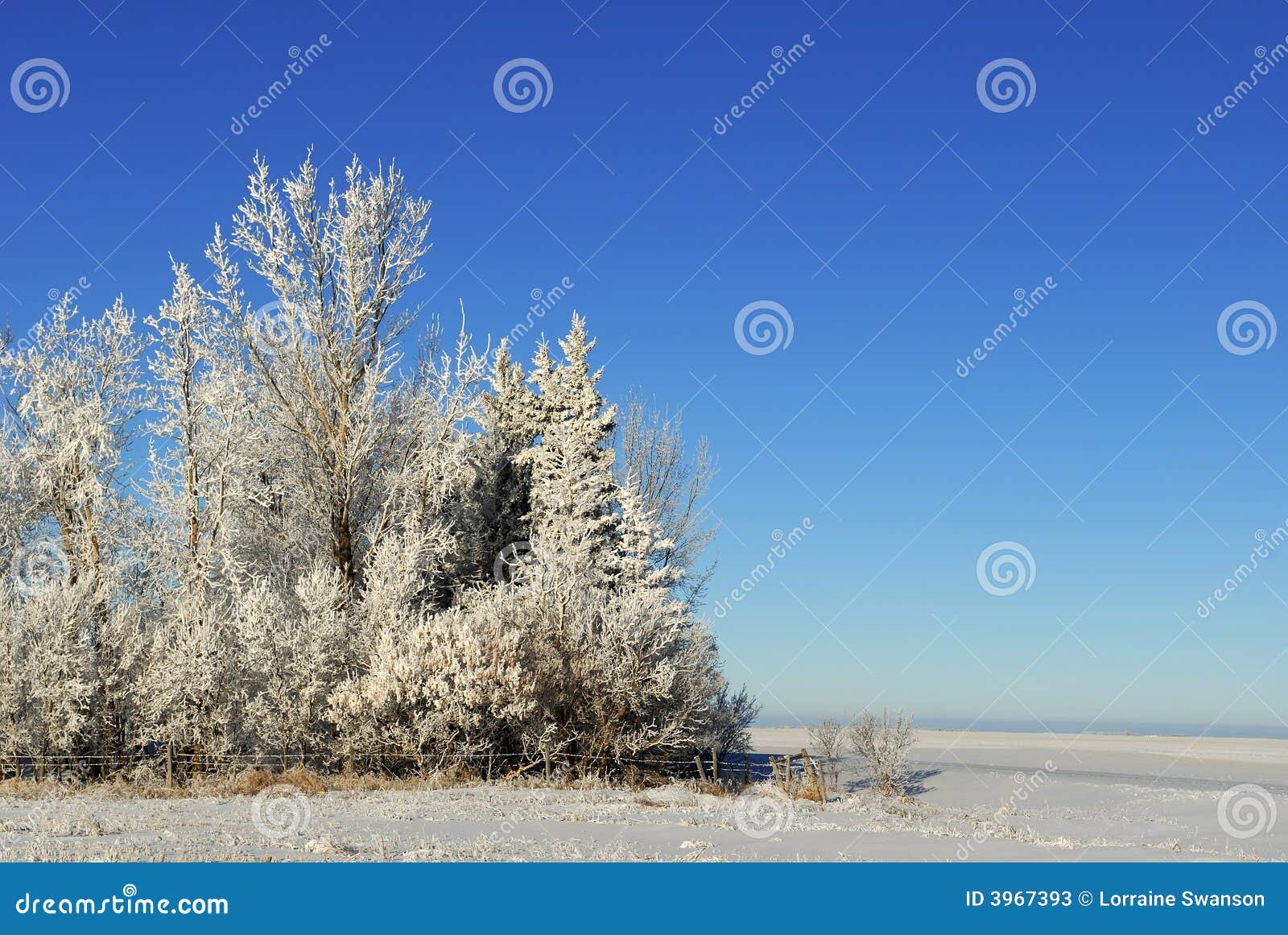 Prairie Winter Landscape stock image. Image of tree, landscape - 3967393