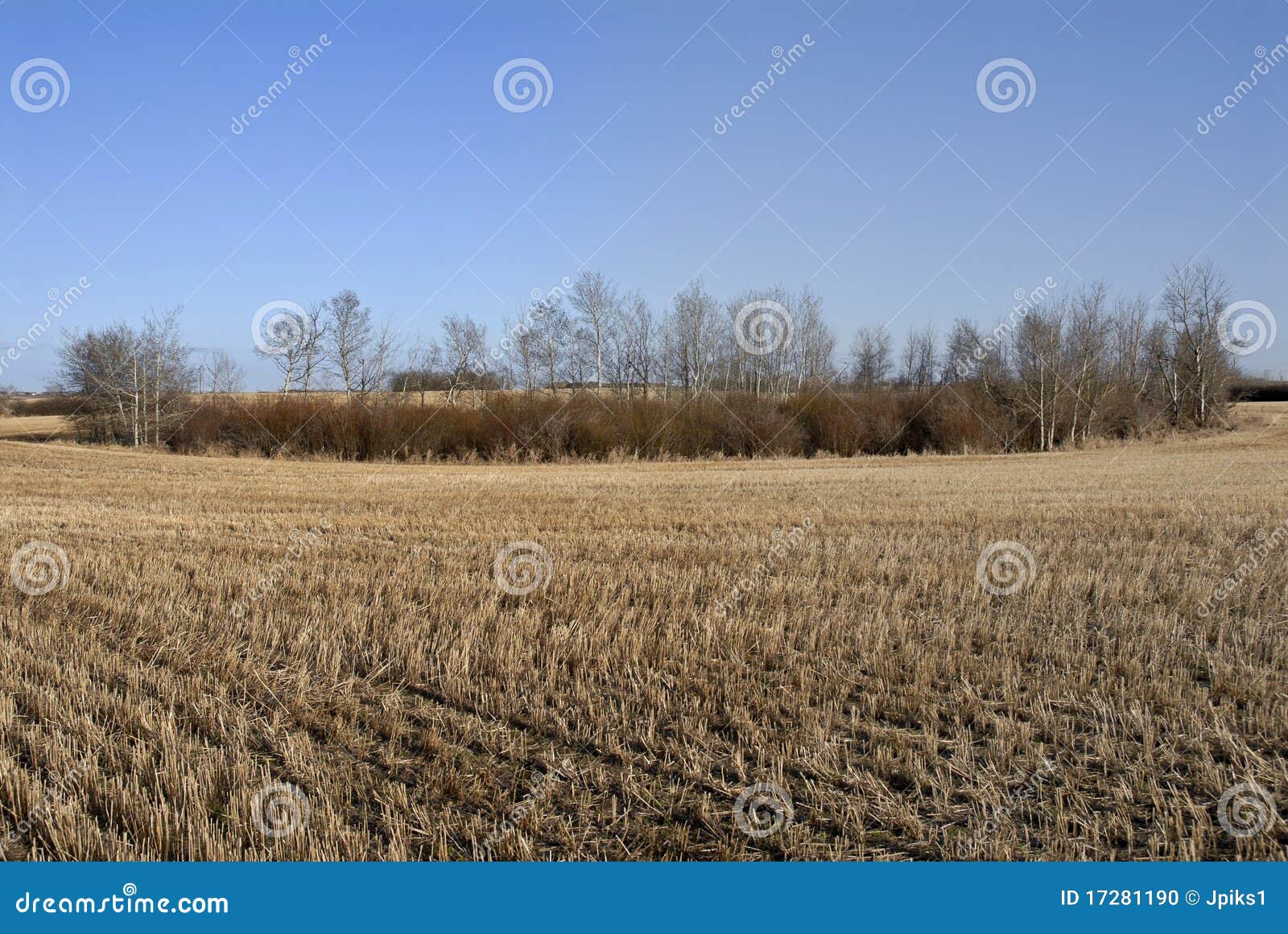 Prairies of Canada stock photo. Image of prairie, landscape - 17281190