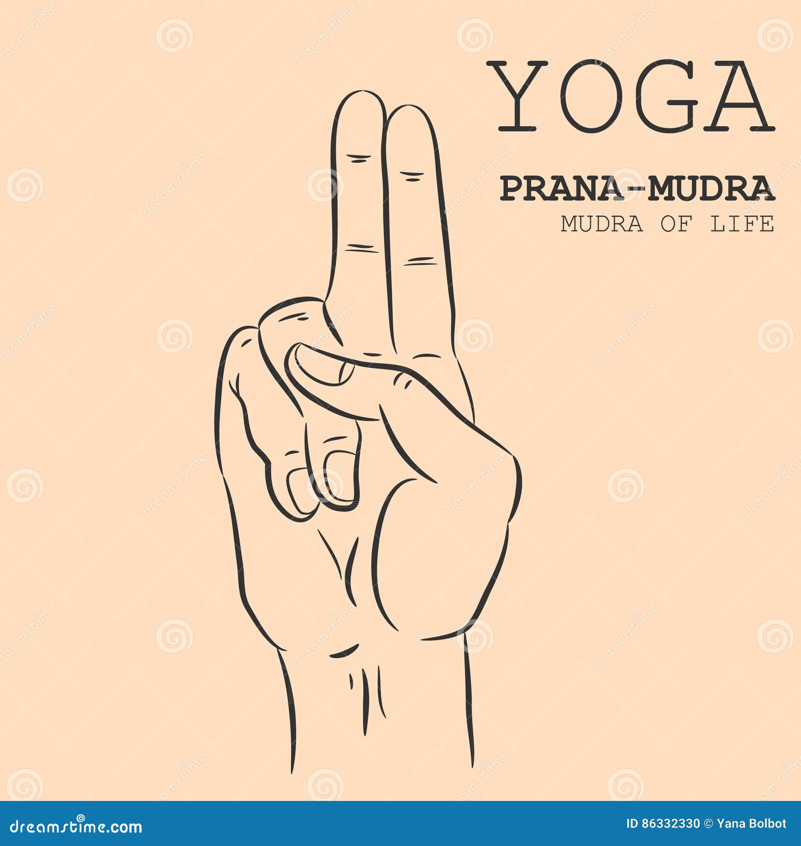 Prana-Mudra stock vector. Illustration of hand, mudra - 86332330