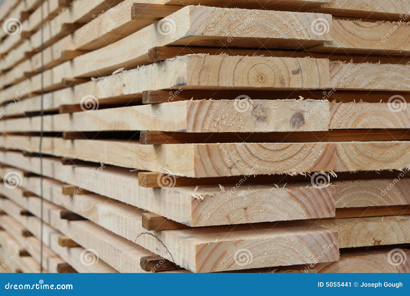 Pranchas Secadas Estufa Do Pinho Imagem de Stock - Imagem de oblongo ...