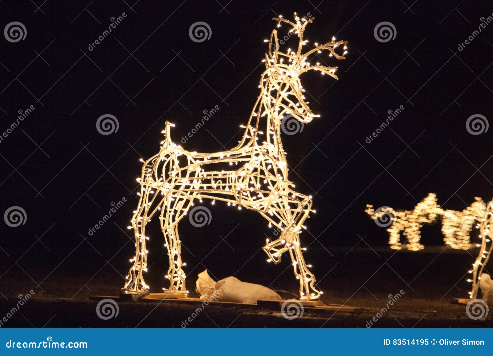 Prancing deer stock image. Image of antlers, galloping - 83514195