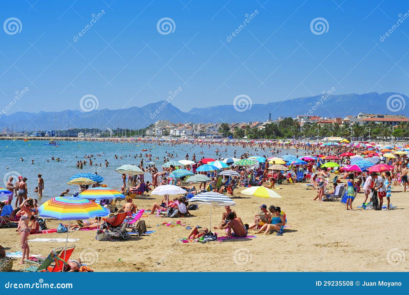 Cambrils, Spain, May 1, 2020 - Exotic Plants In Botanical Garden Park ...