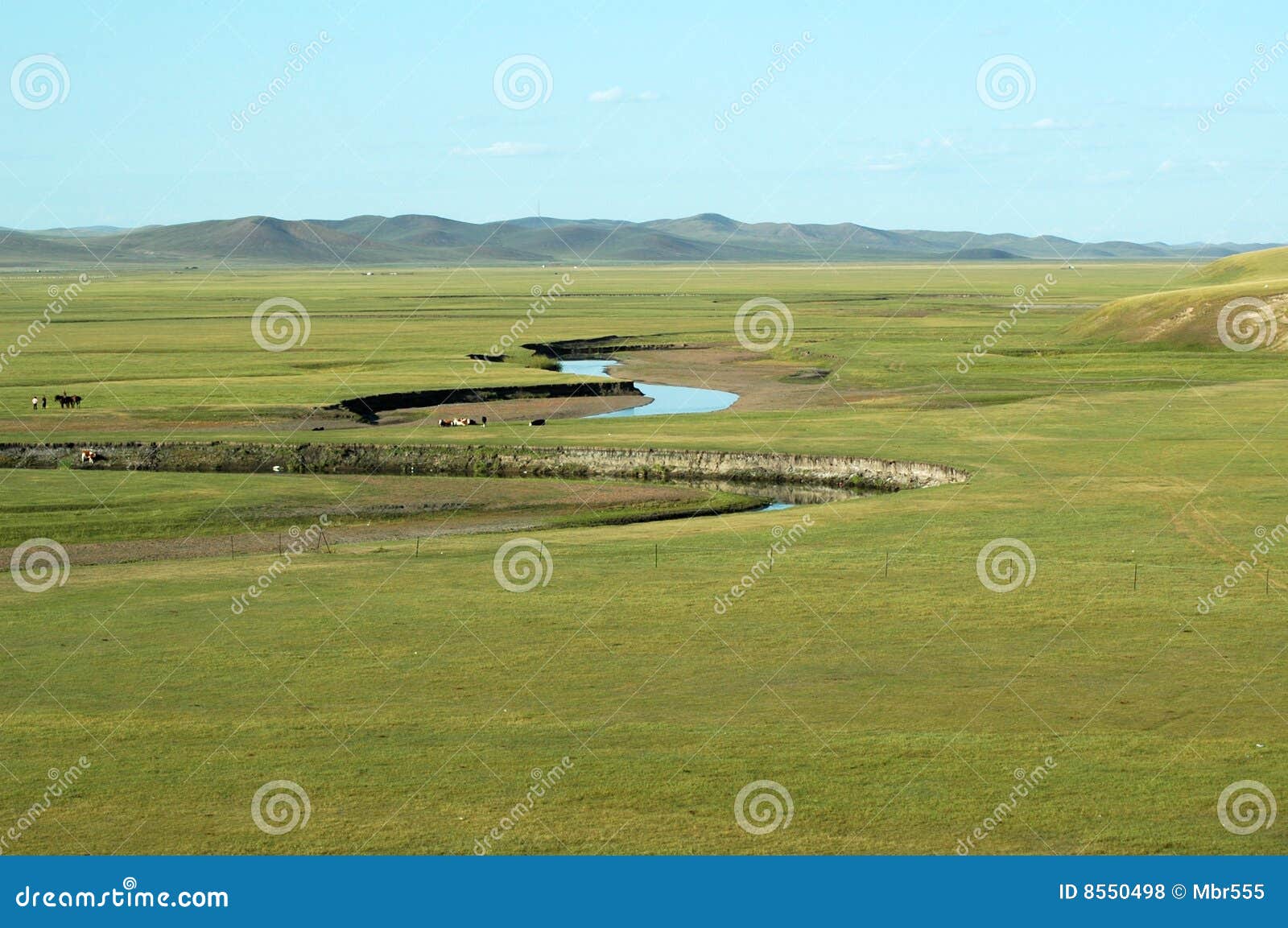 Prateria fotografia stock. Immagine di riempito, spettacolare - 8550498