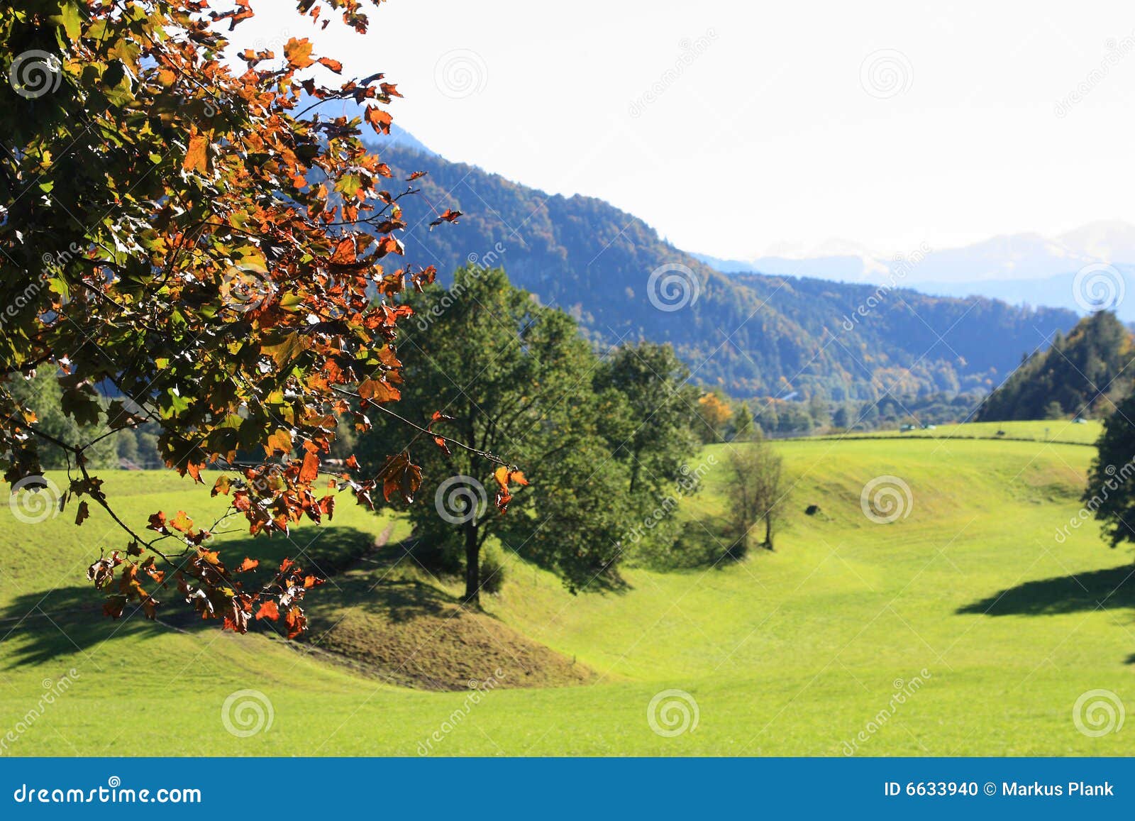 Prati fotografia stock. Immagine di percorso, austria - 6633940