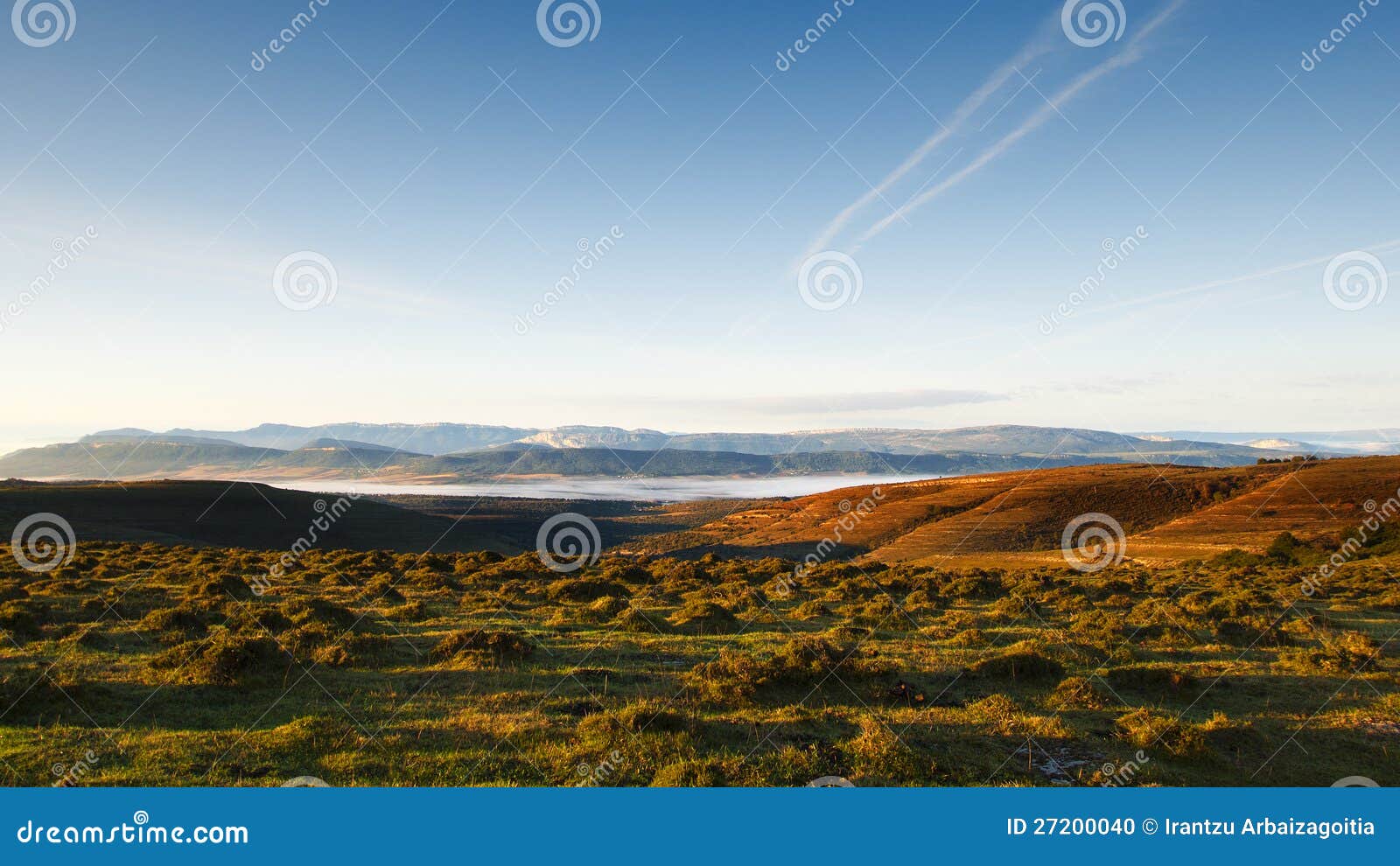 Prati E Cielo Blu All'alba, Sierra Salvada Fotografia Stock - Immagine ...