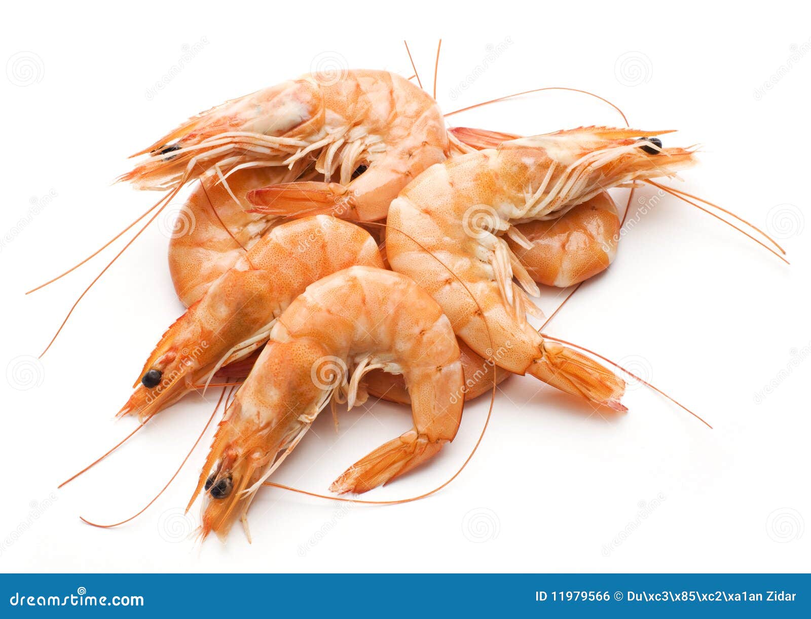 Prawn stock photo. Image of meal, prawns, king, seafood - 11979566