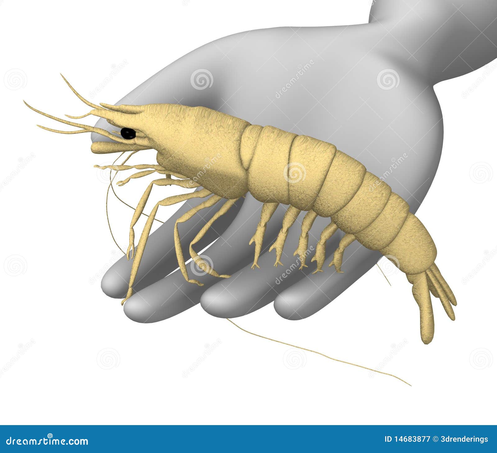 3D Render Of Prawn Royalty-Free Stock Photography | CartoonDealer.com ...