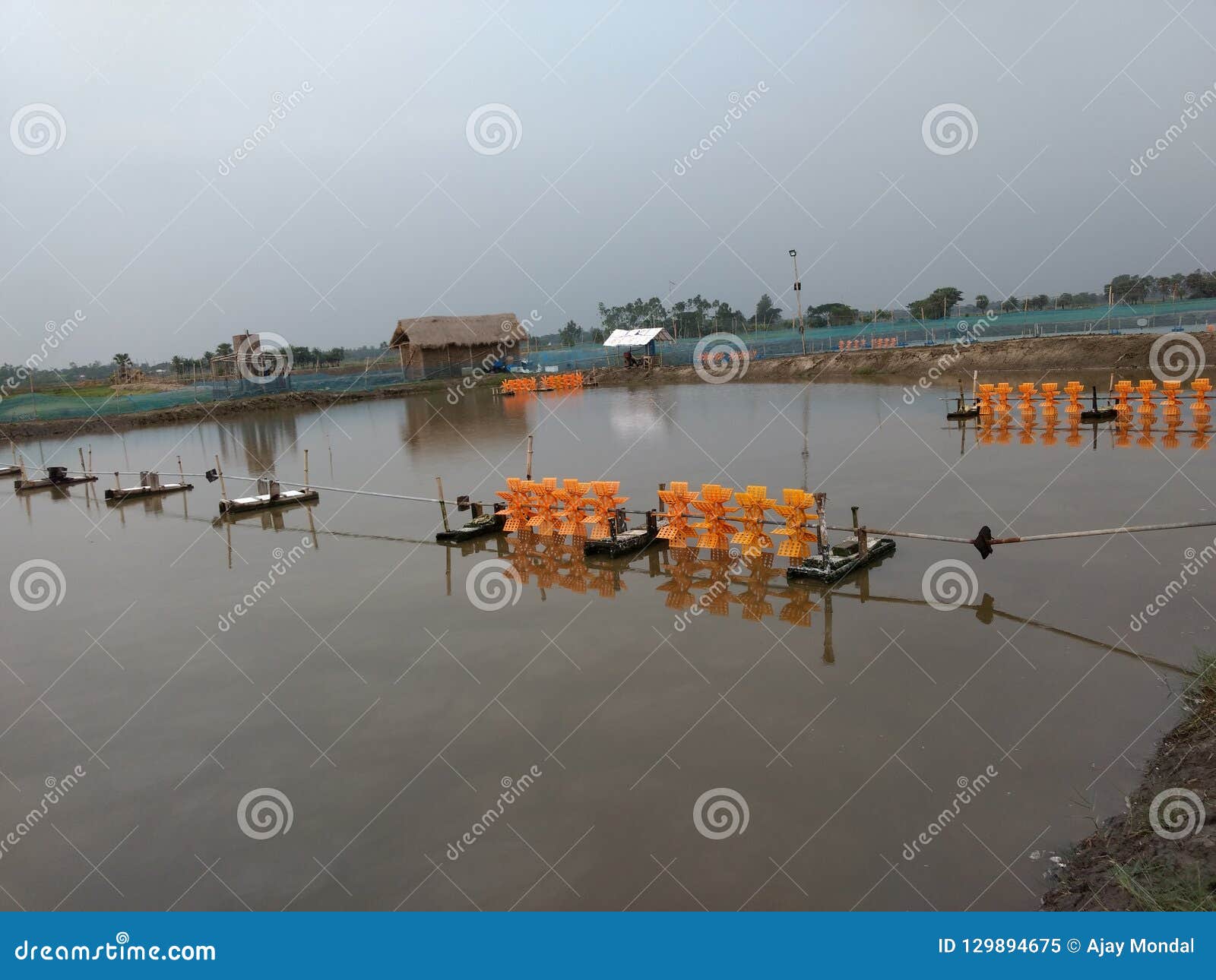 Prawn culture stock image. Image of prawn, system, aeration - 129894675