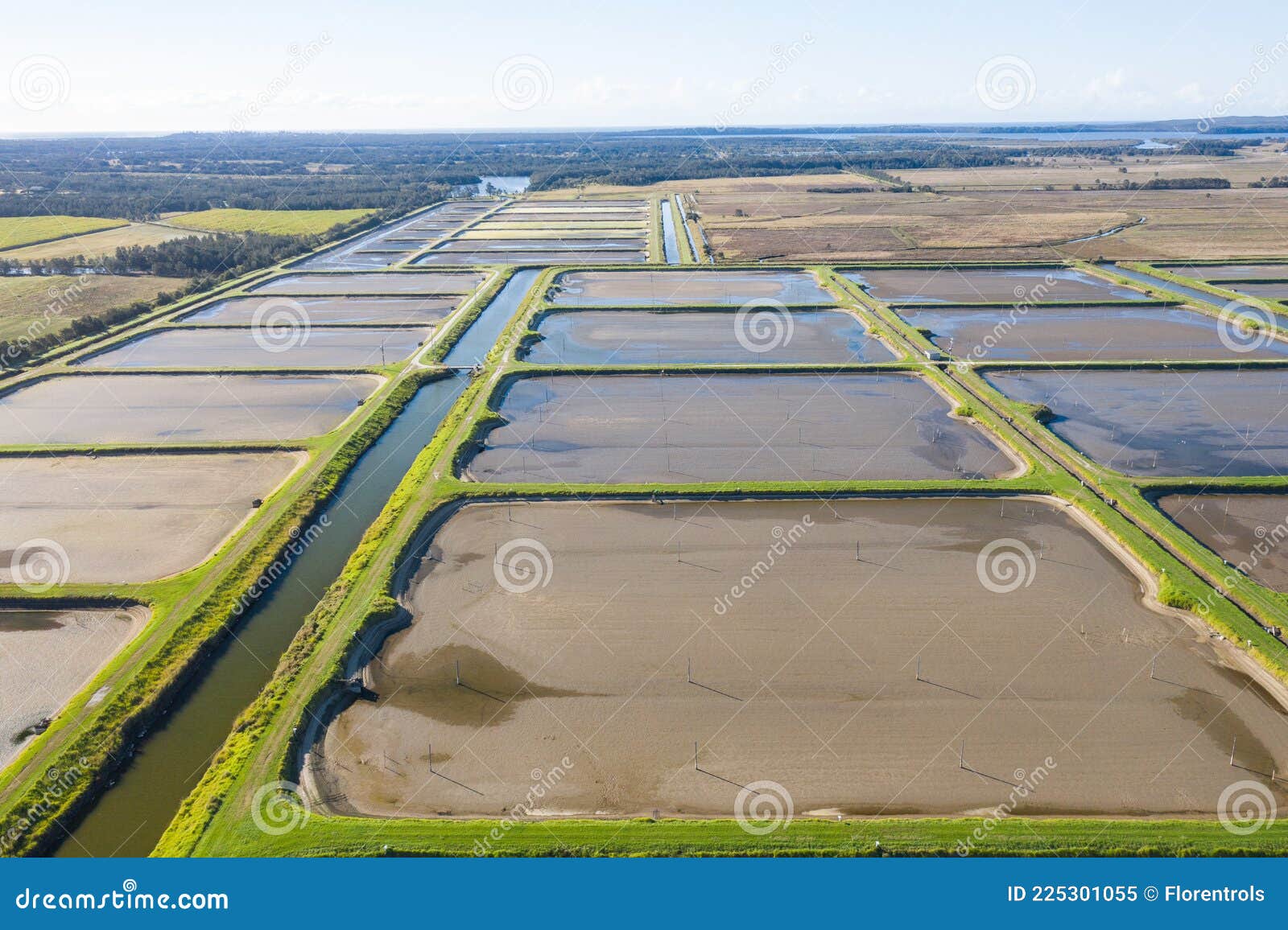 Prawn Farm View from Above. Stock Image - Image of aquaculture, aerial ...
